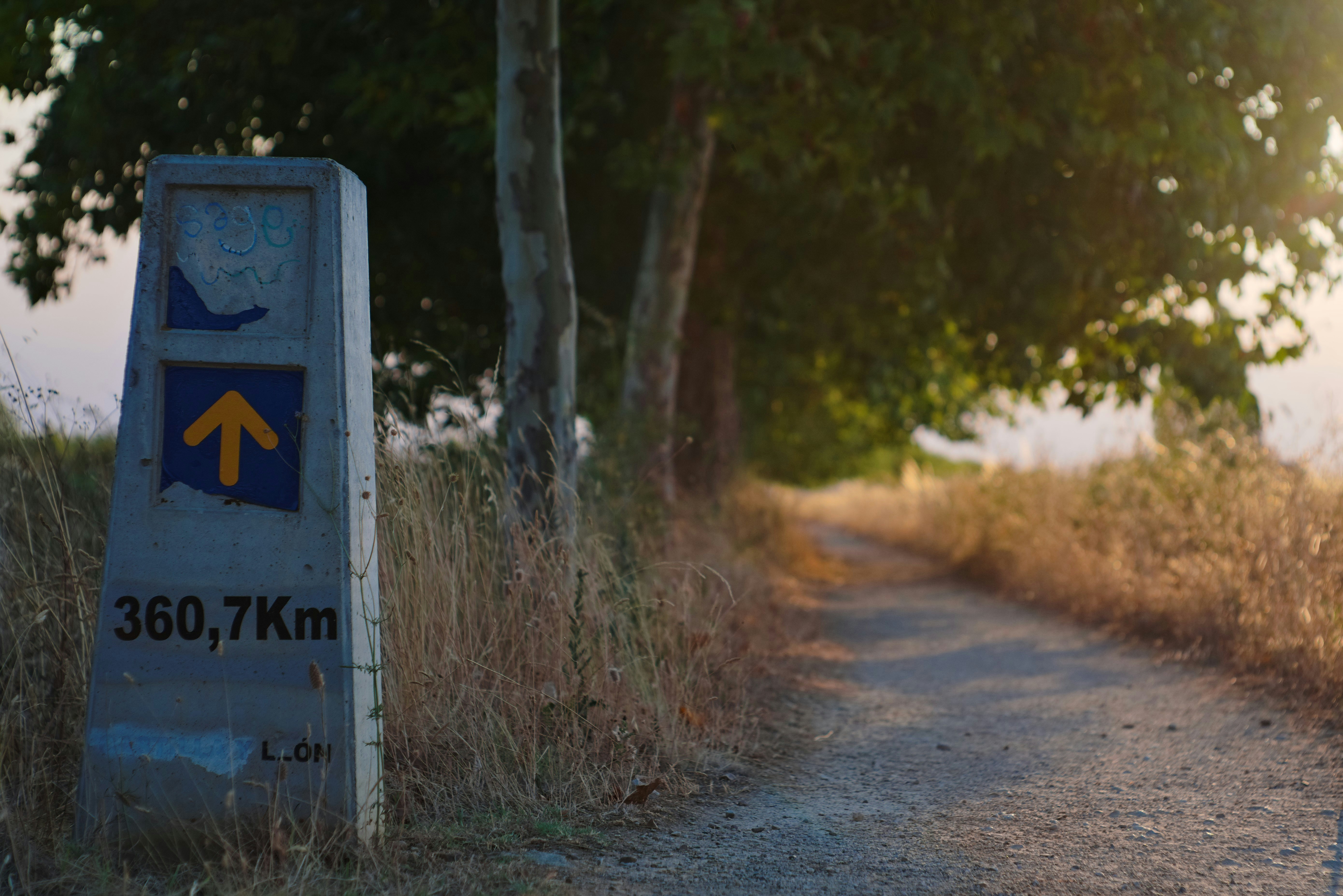 Milestone on a path with trees and sunlight