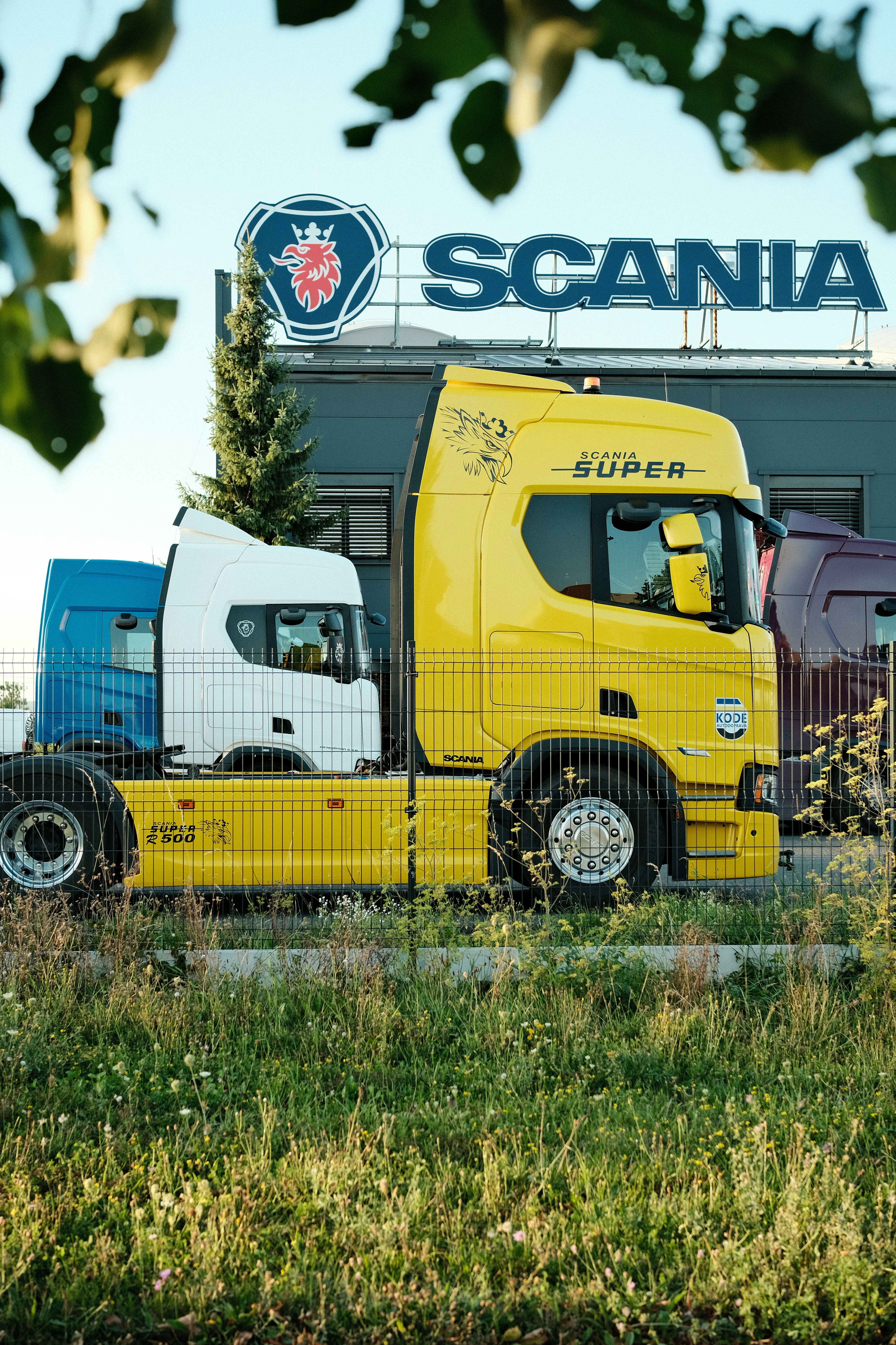 Three Scania trucks in vibrant colors parked in front of a Scania logo, showcasing modern design and branding.
