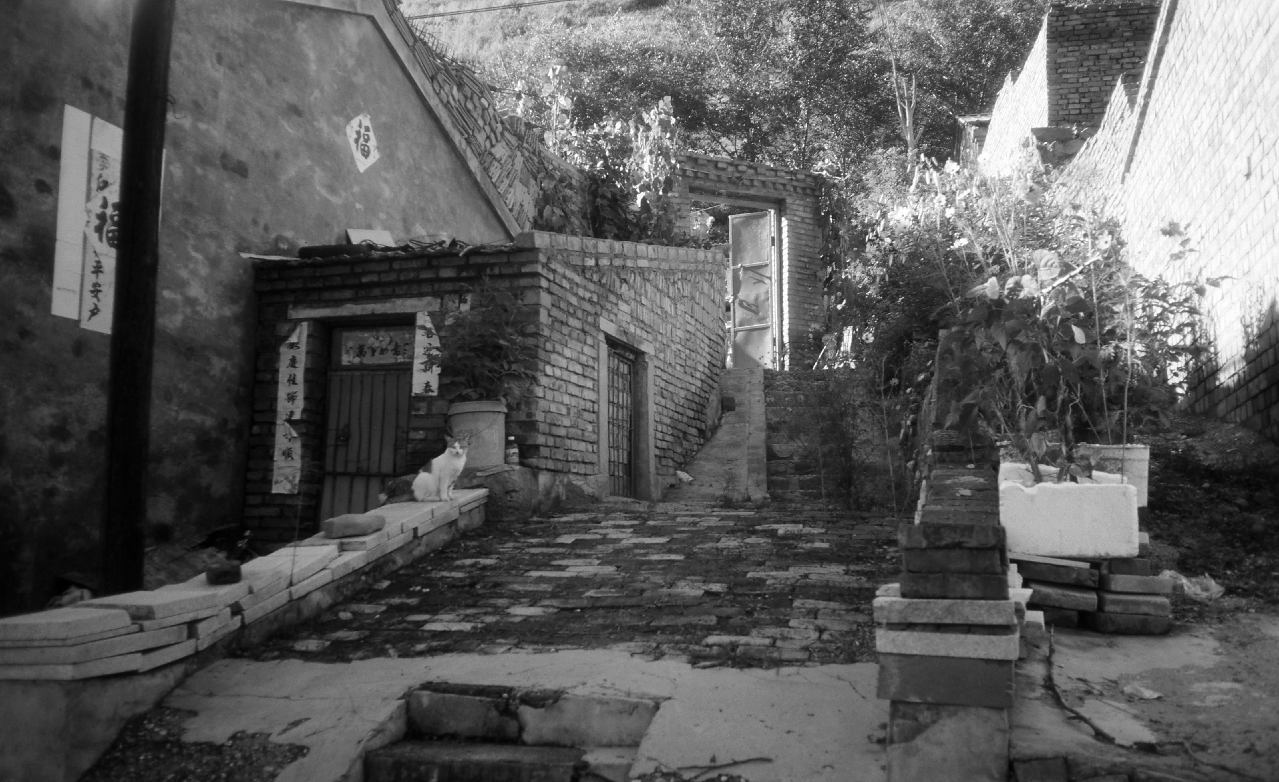 Stone pathway leads through old brick buildings
