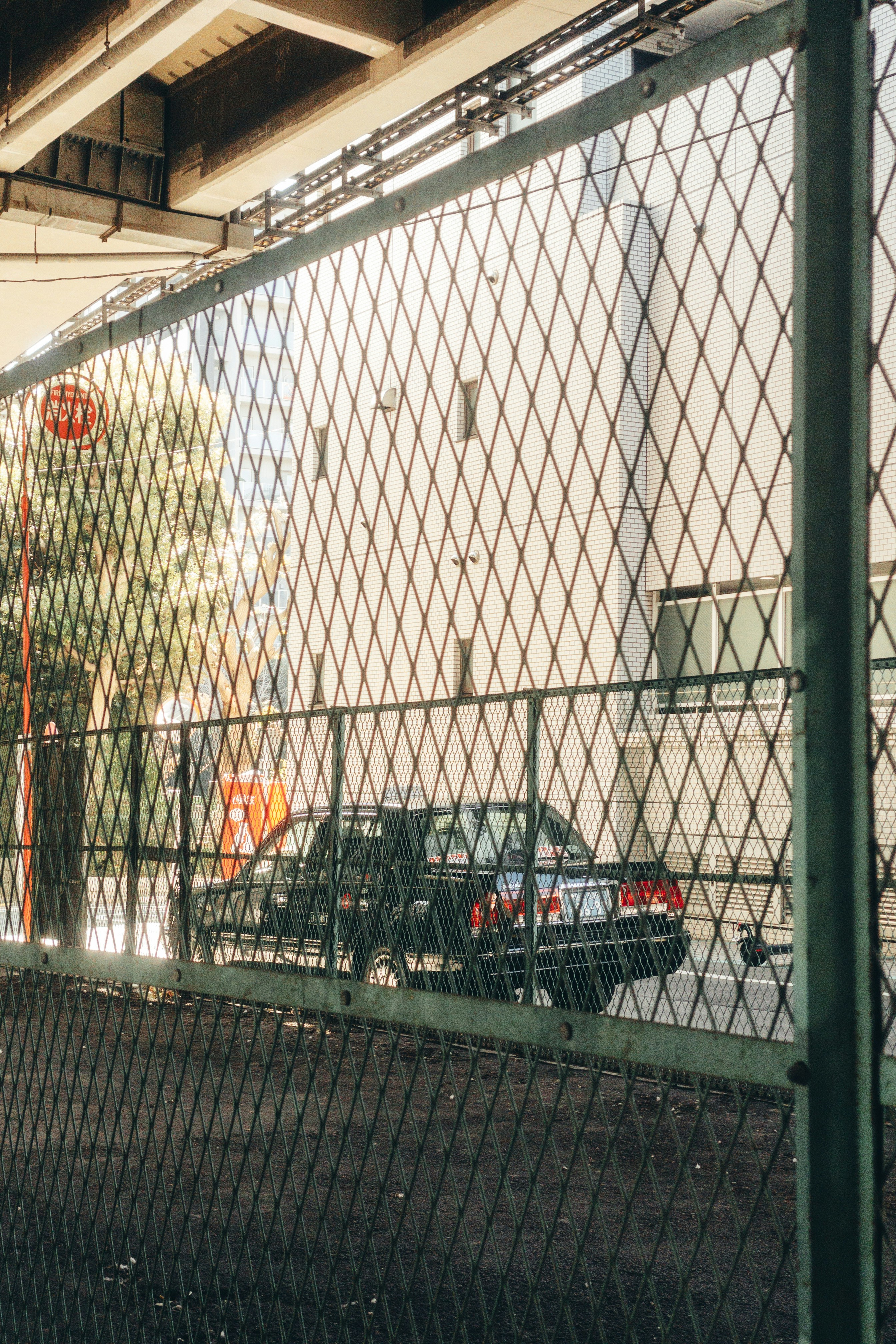 Urban Veil: A Glimpse Through the Grate