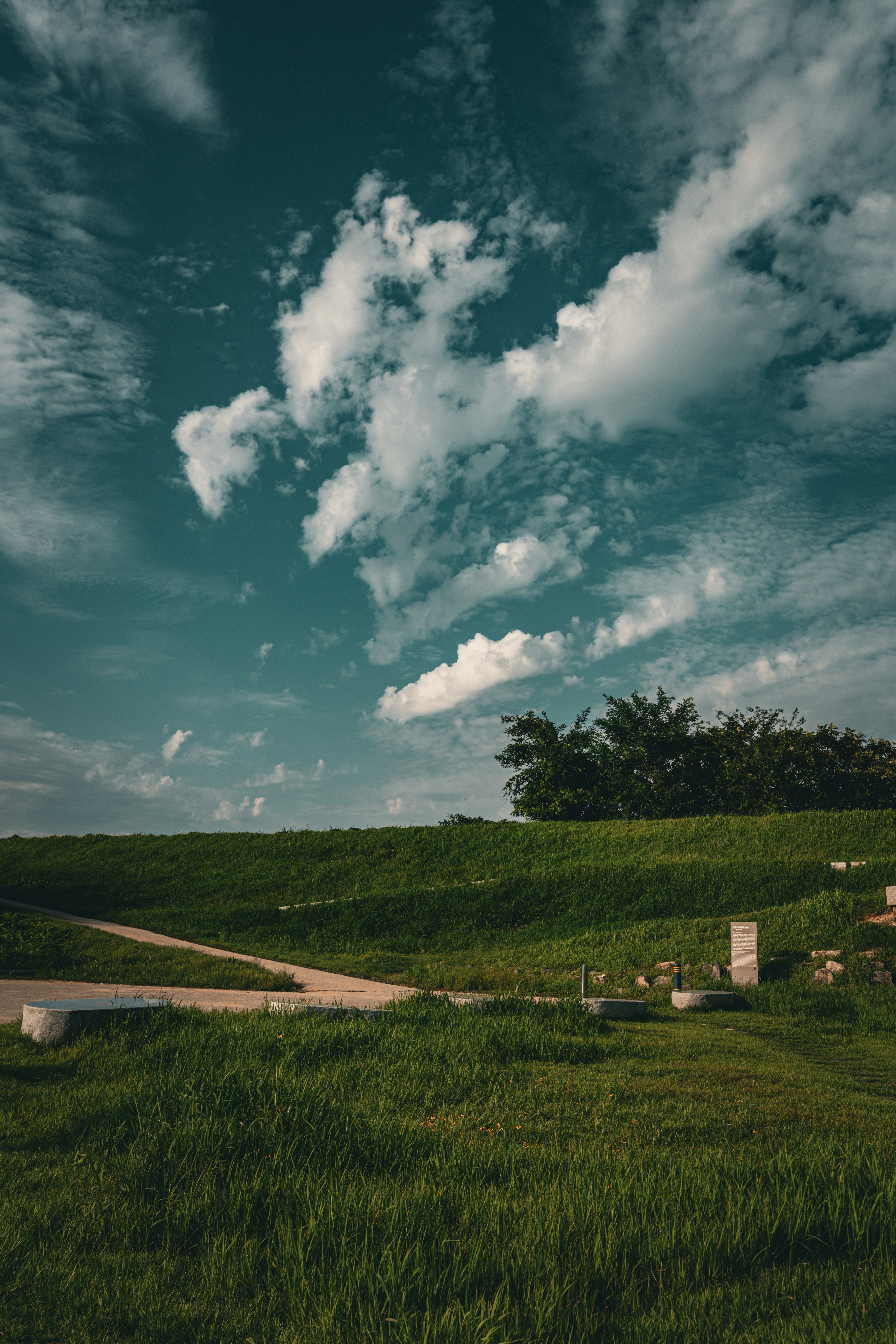 Whispers of Nature Beneath a Canvas of Clouds