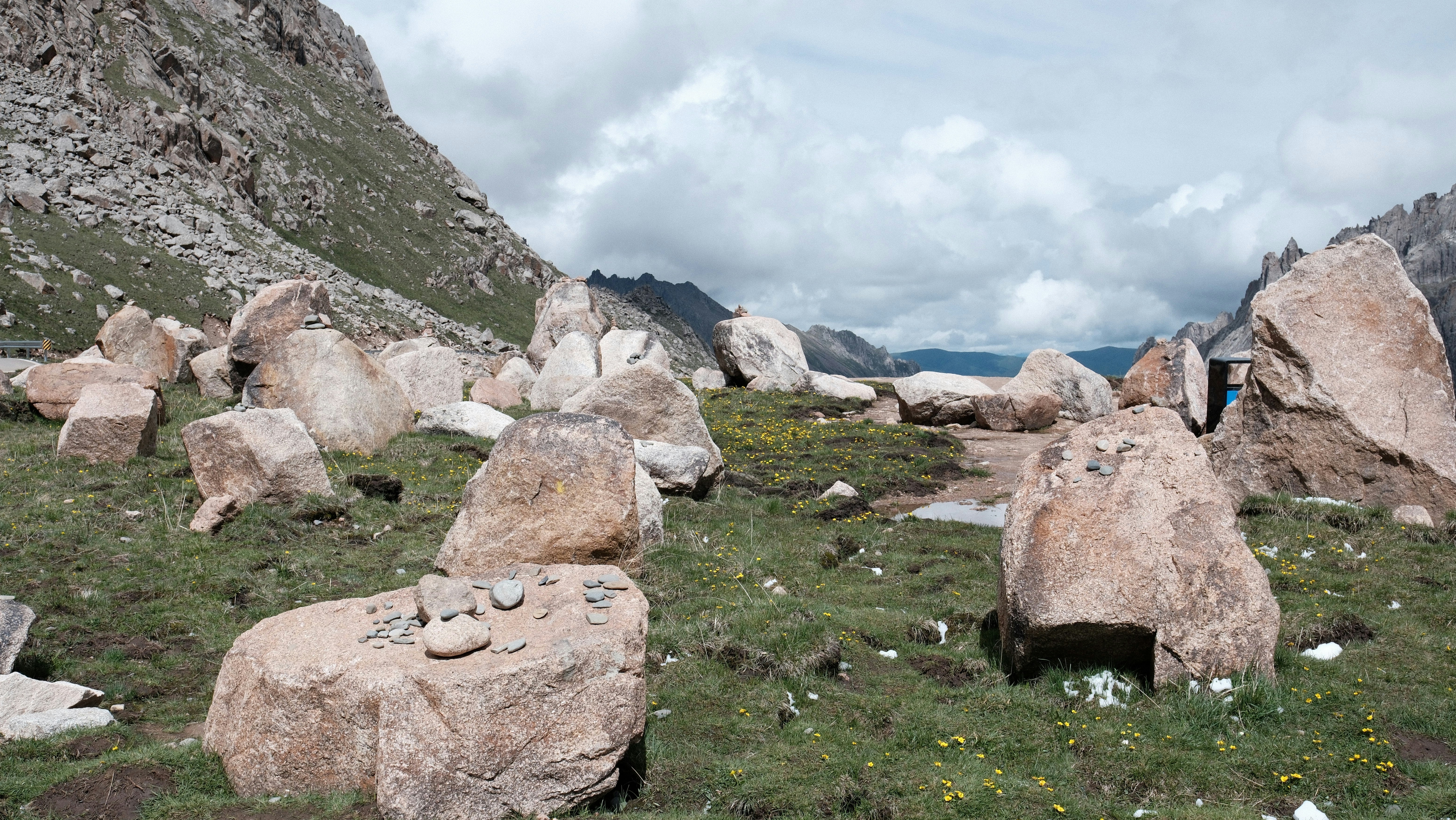 Granite Sentinels in a Quiet Alpine Meadow