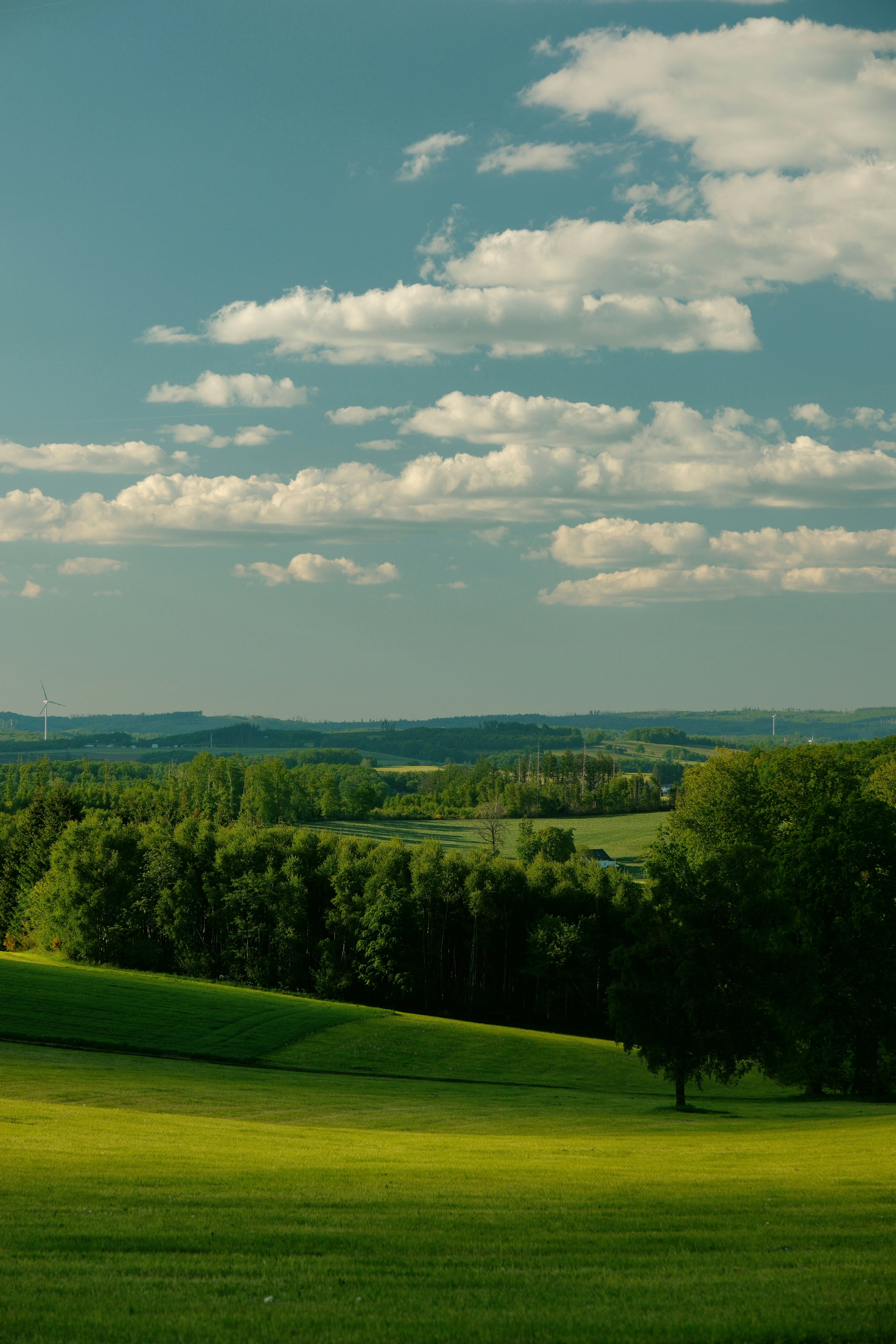 Just a german summer day. | Rolling green hills under a cloudy blue sky