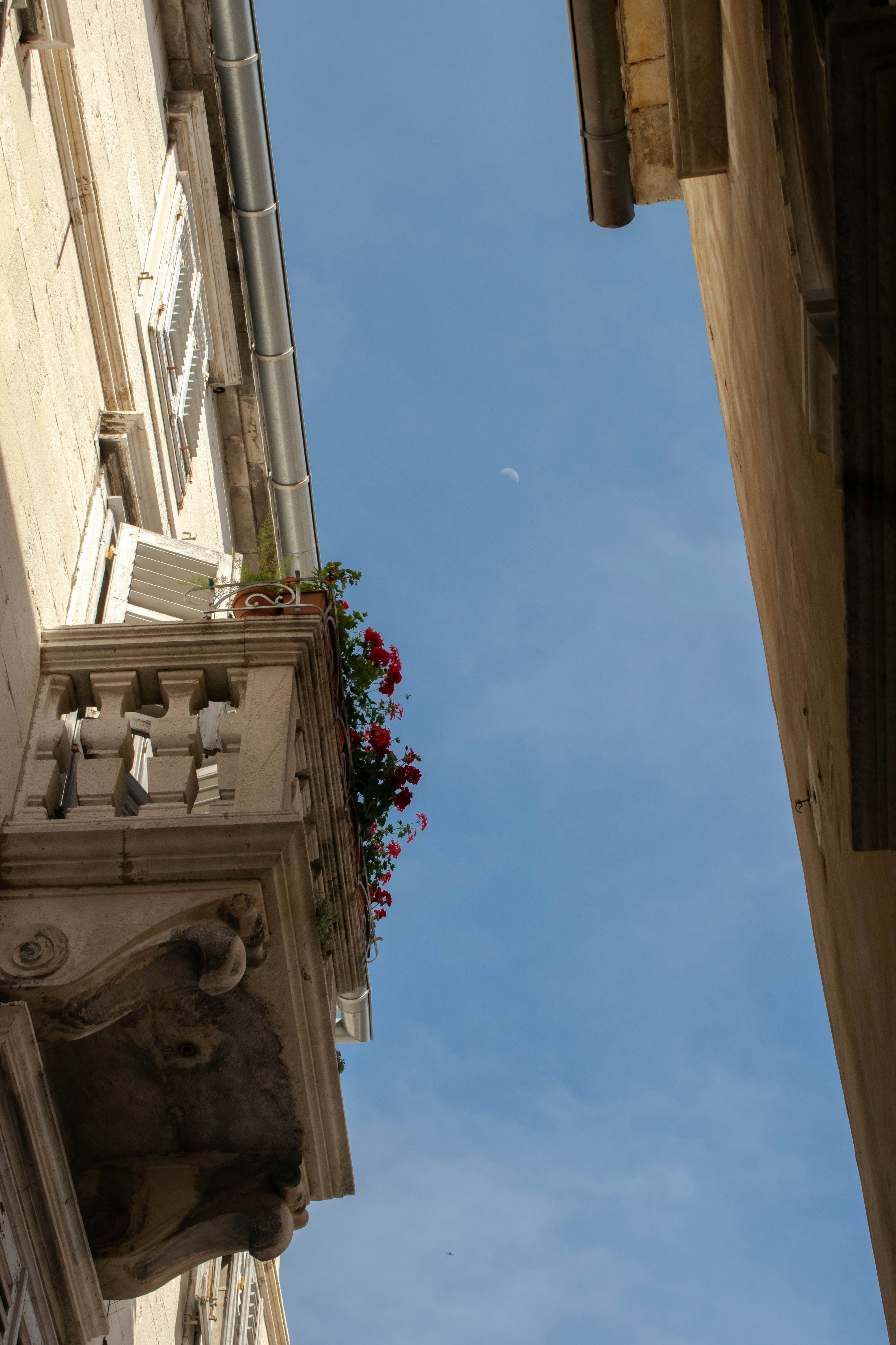 Balcony with flowers against a bright blue sky.