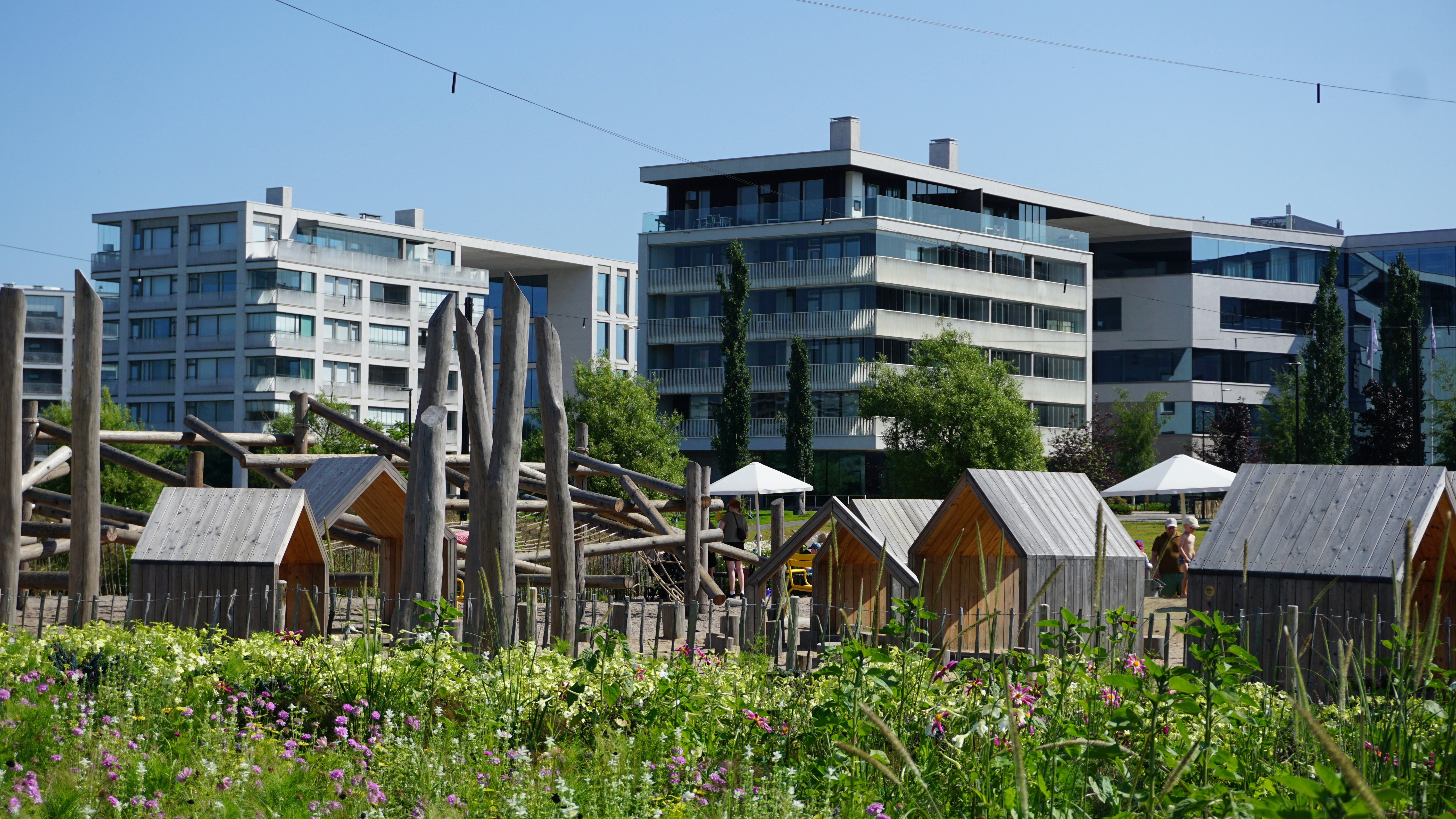 Timber Rows Framing a Modern Skyline