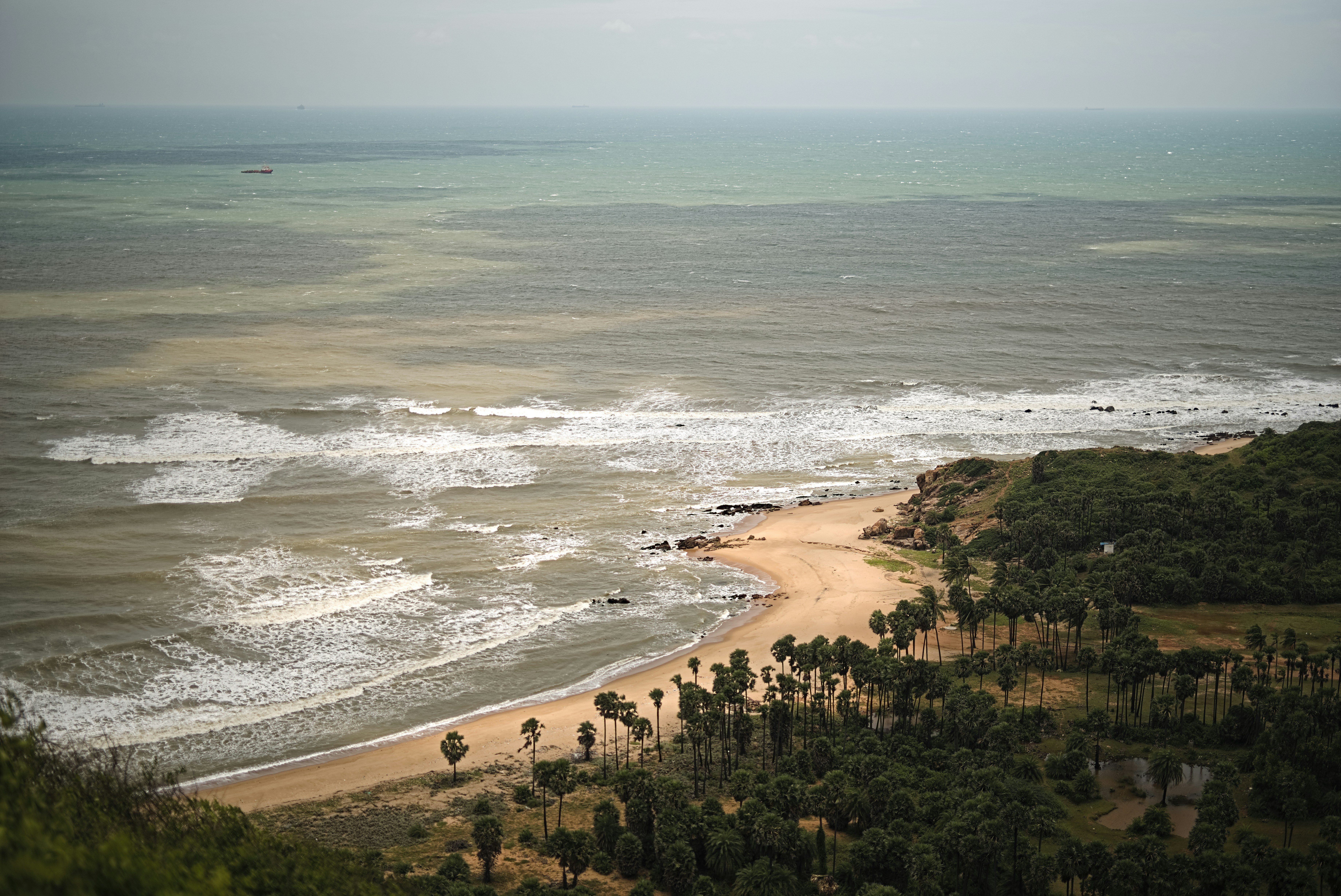 Waves gently lap at a sandy shore, framed by lush greenery and palm trees under a cloudy sky.