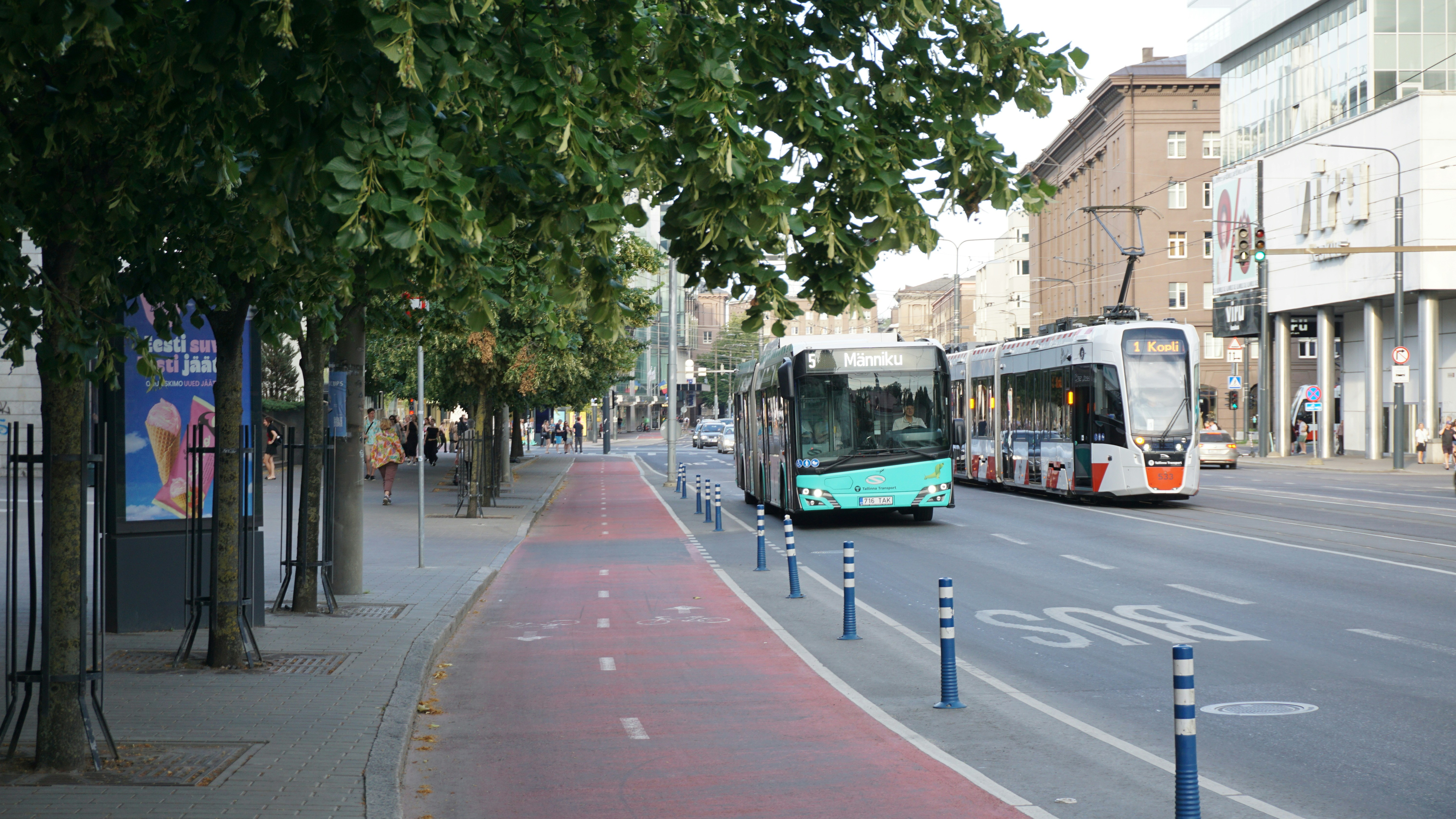 Trams and buses on a city street with bike lane.