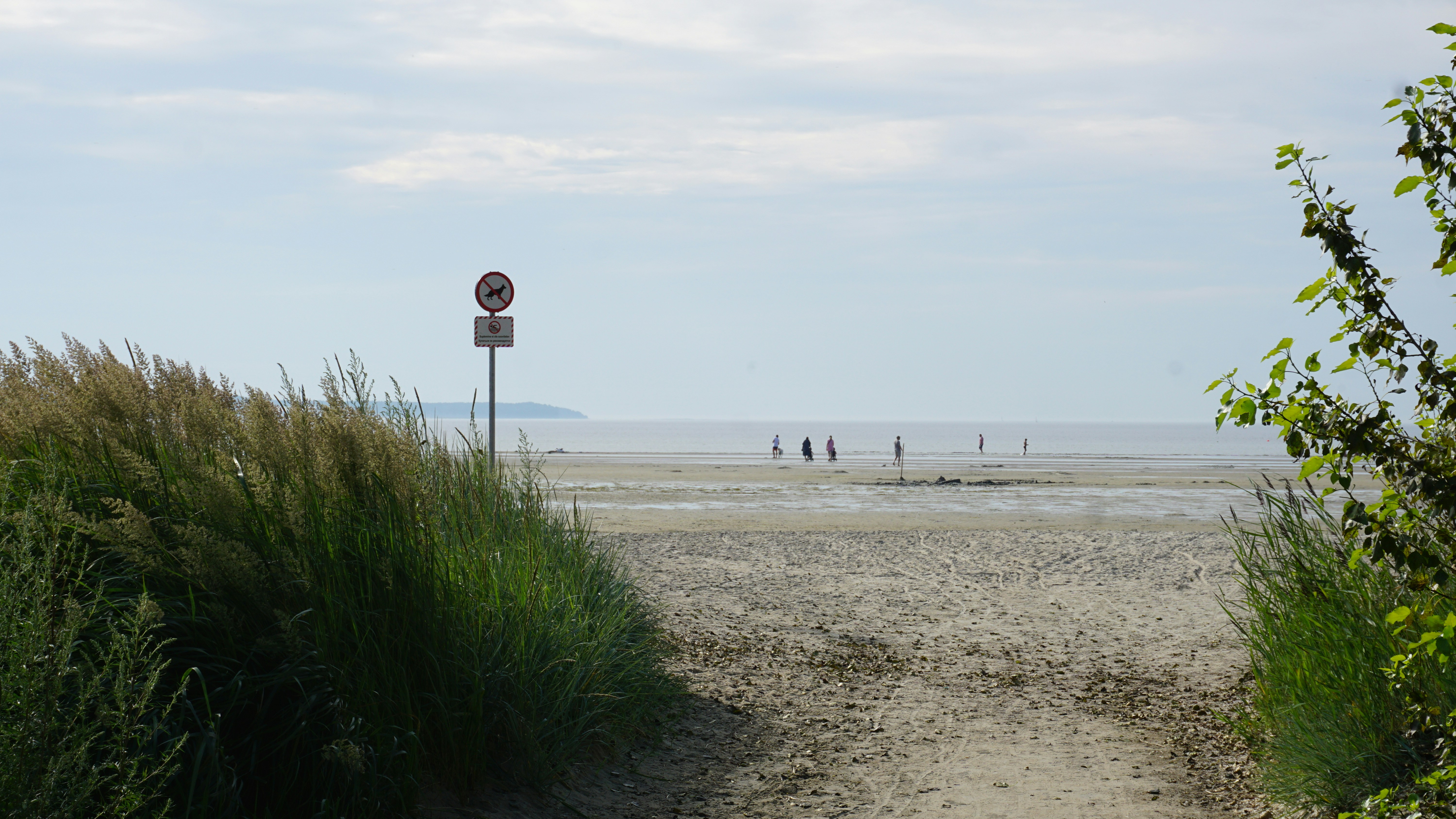 People wading in shallow water on a sandy beach