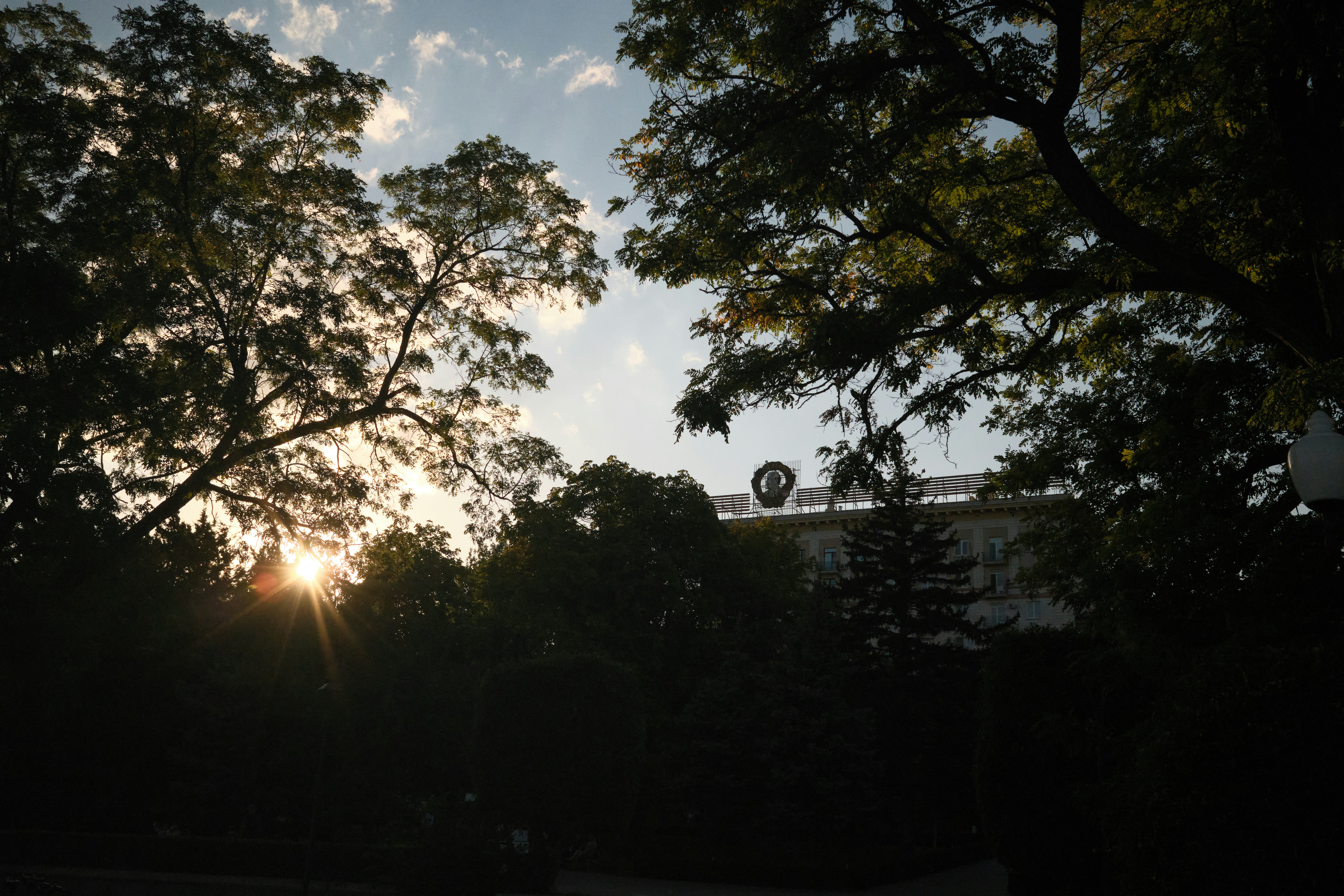 Sun sets behind trees with building in background