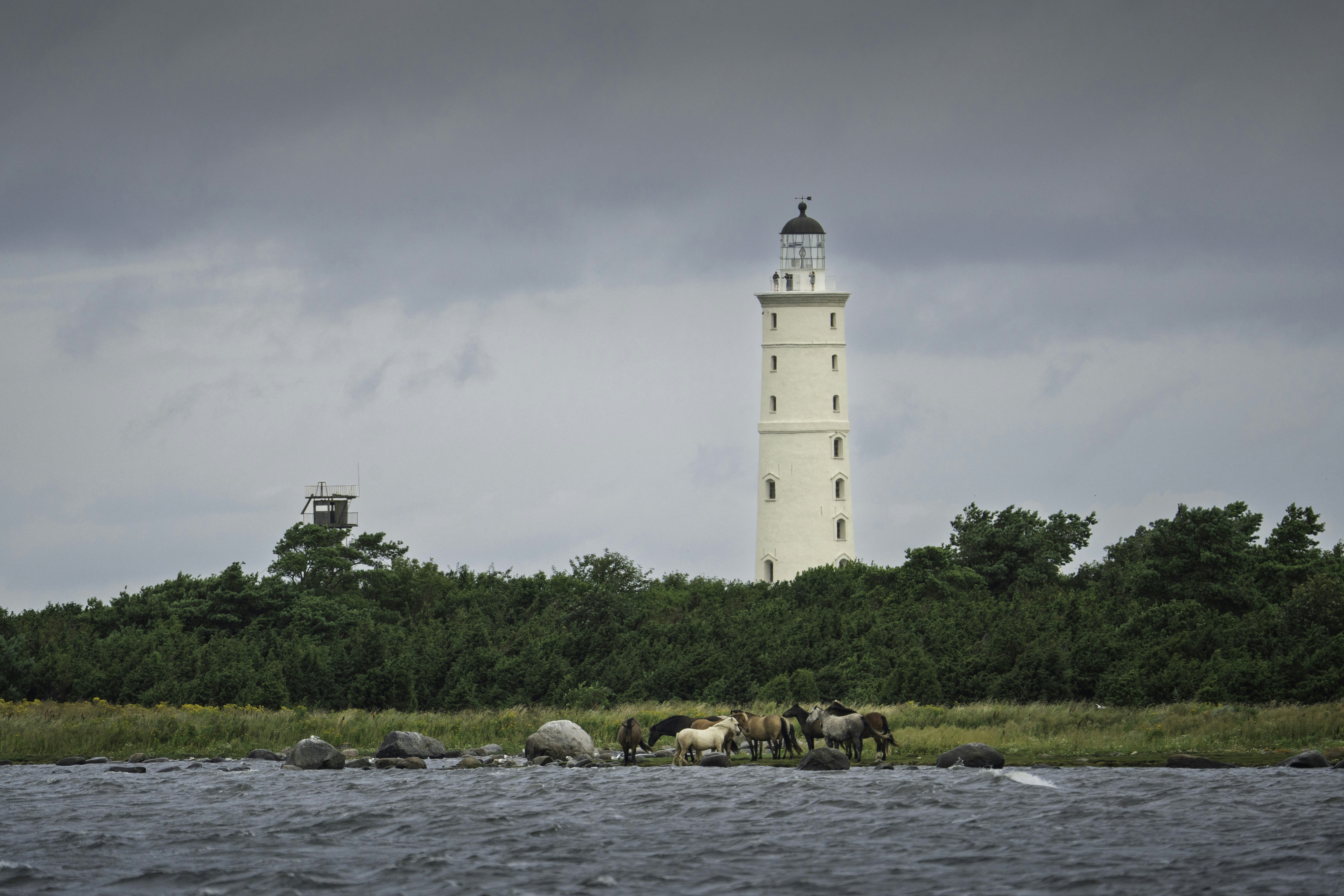 Harmony of Nature and Navigation