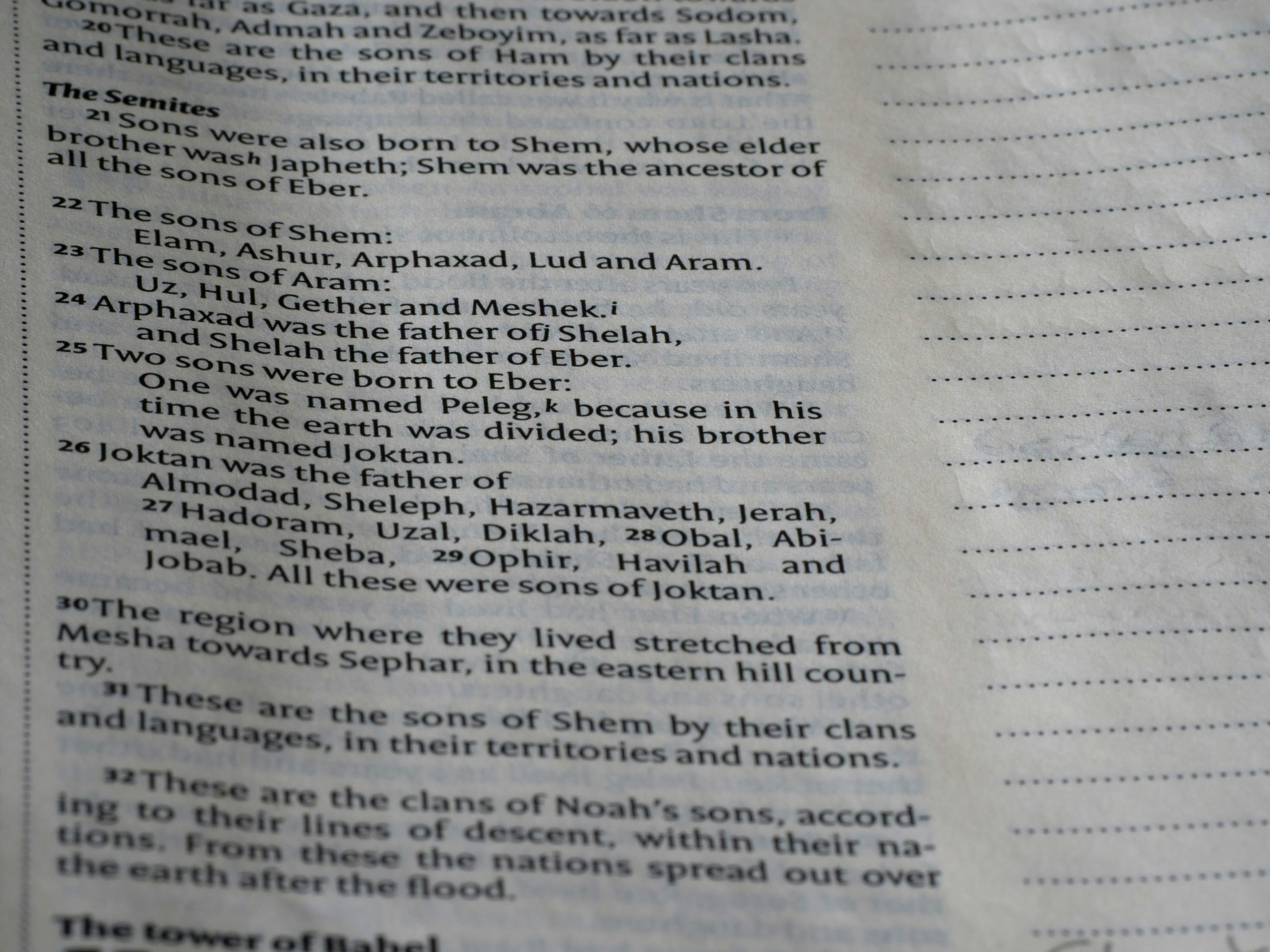 Text from a historical document detailing the genealogy of Shem and the origins of various nations. The layout emphasizes the structured lineage across generations.