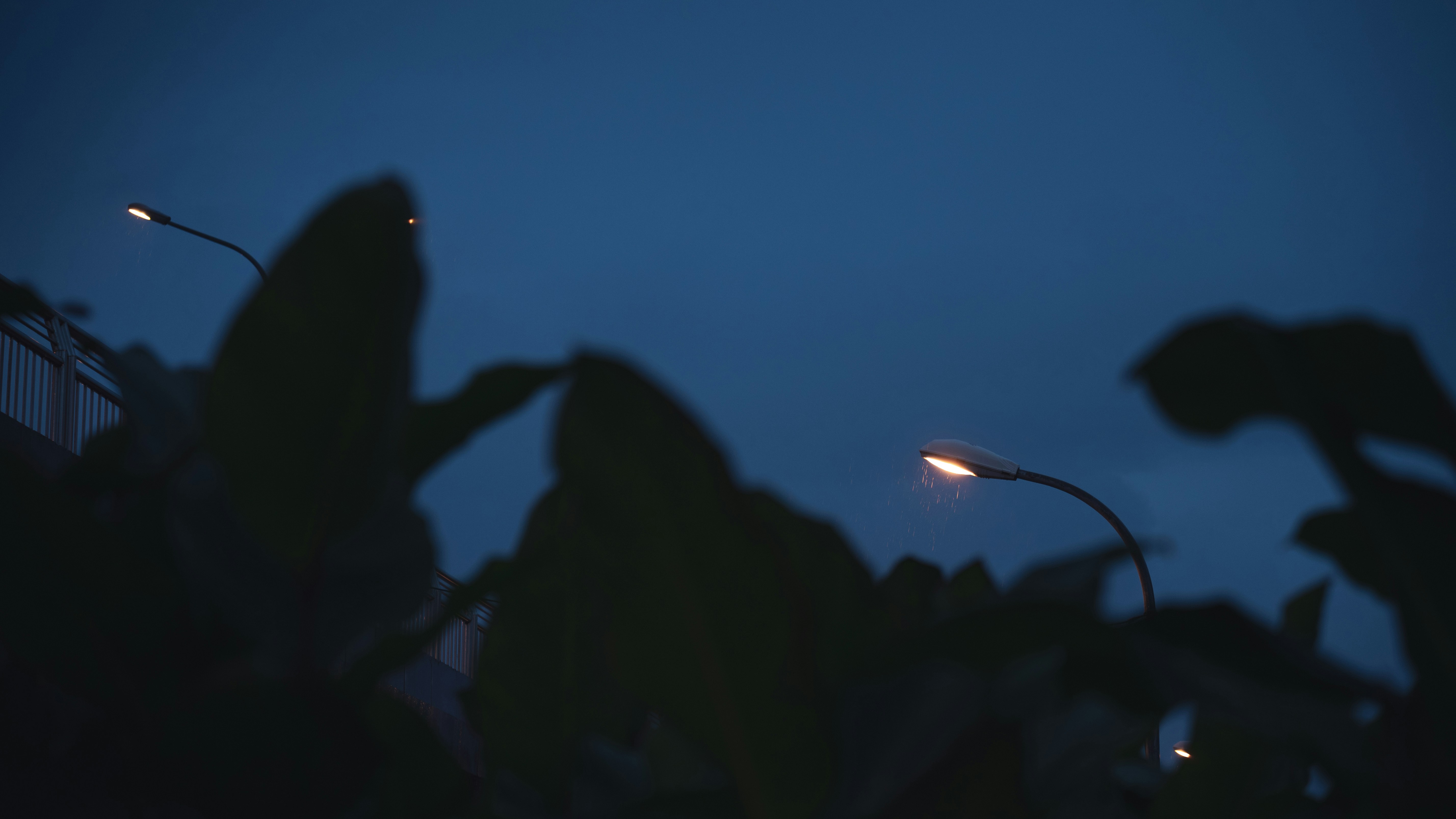 Whispers of Twilight: Urban Glow Amidst Nature