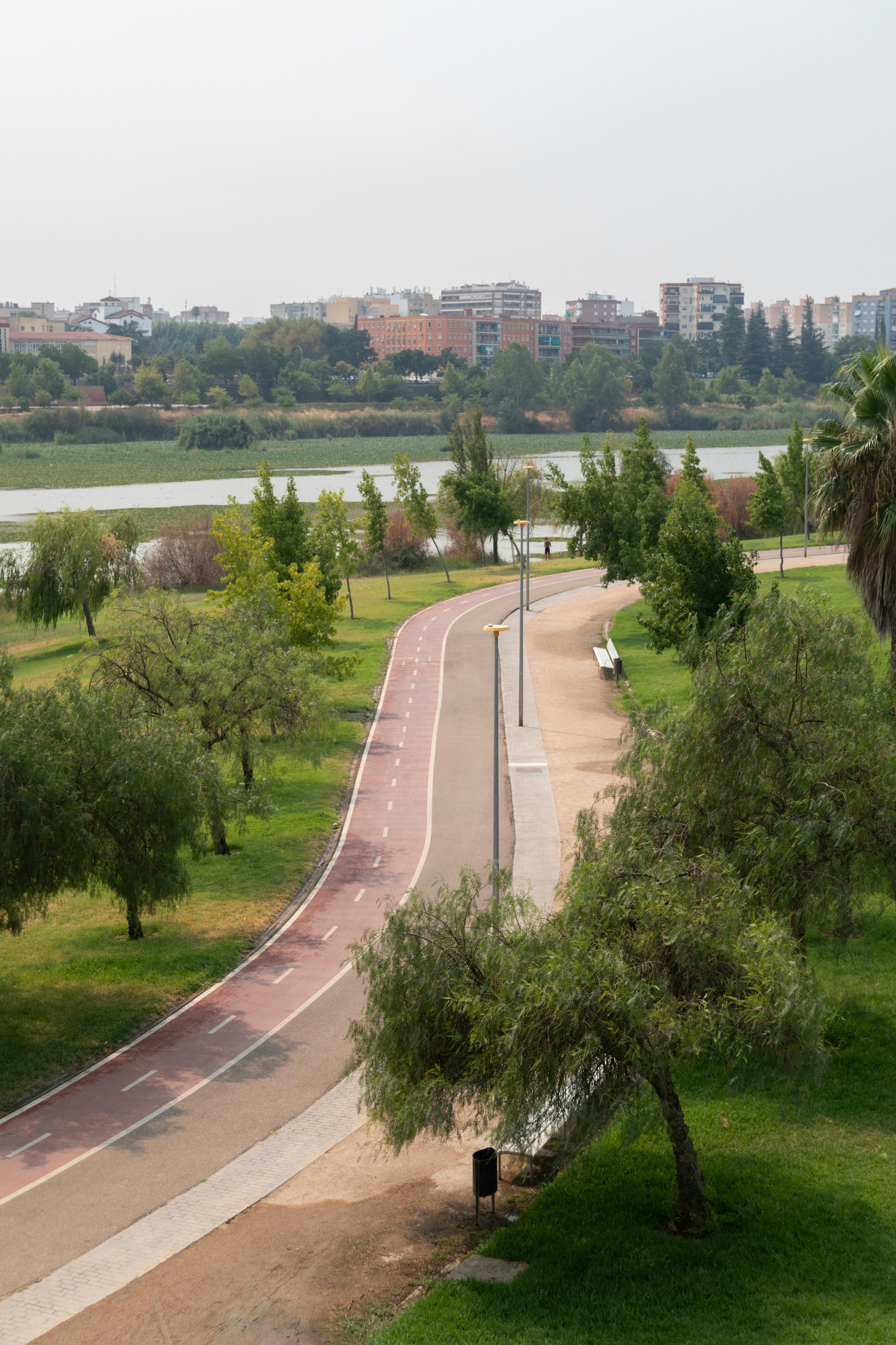 Winding Pathway Through Urban Greenery