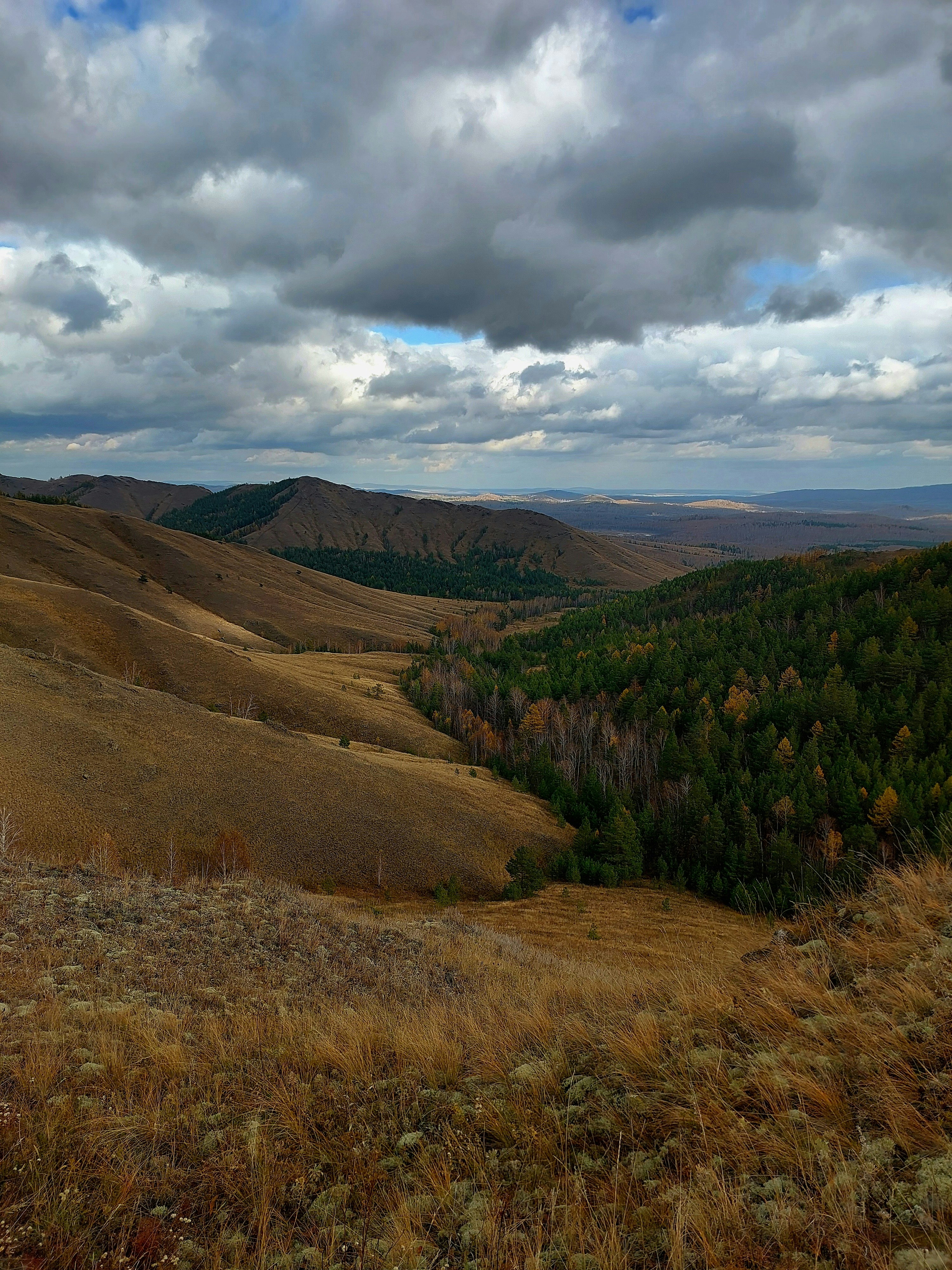 Rolling hills with a forest under a cloudy sky