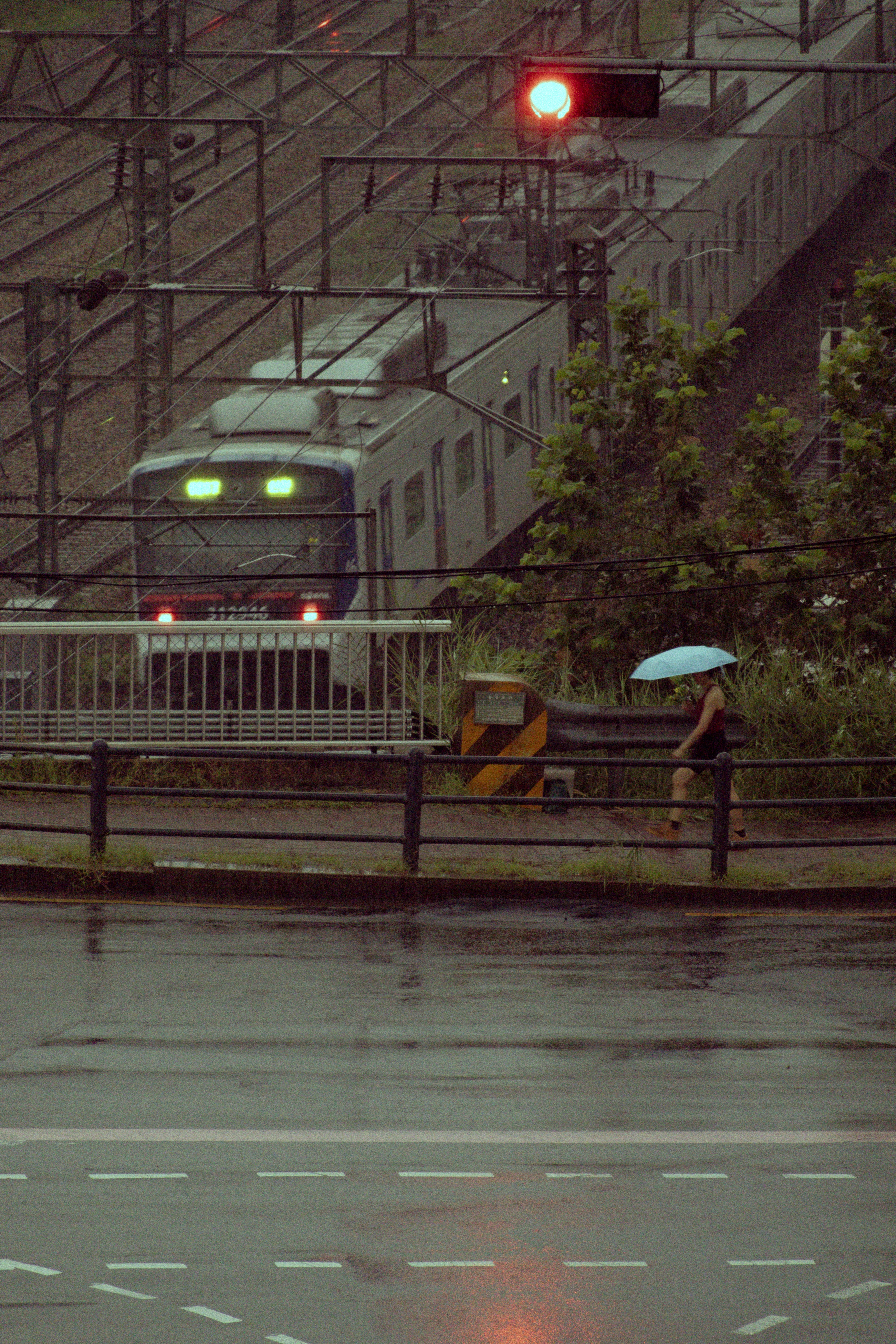 A Dance of Shadows and Steel in the Rain