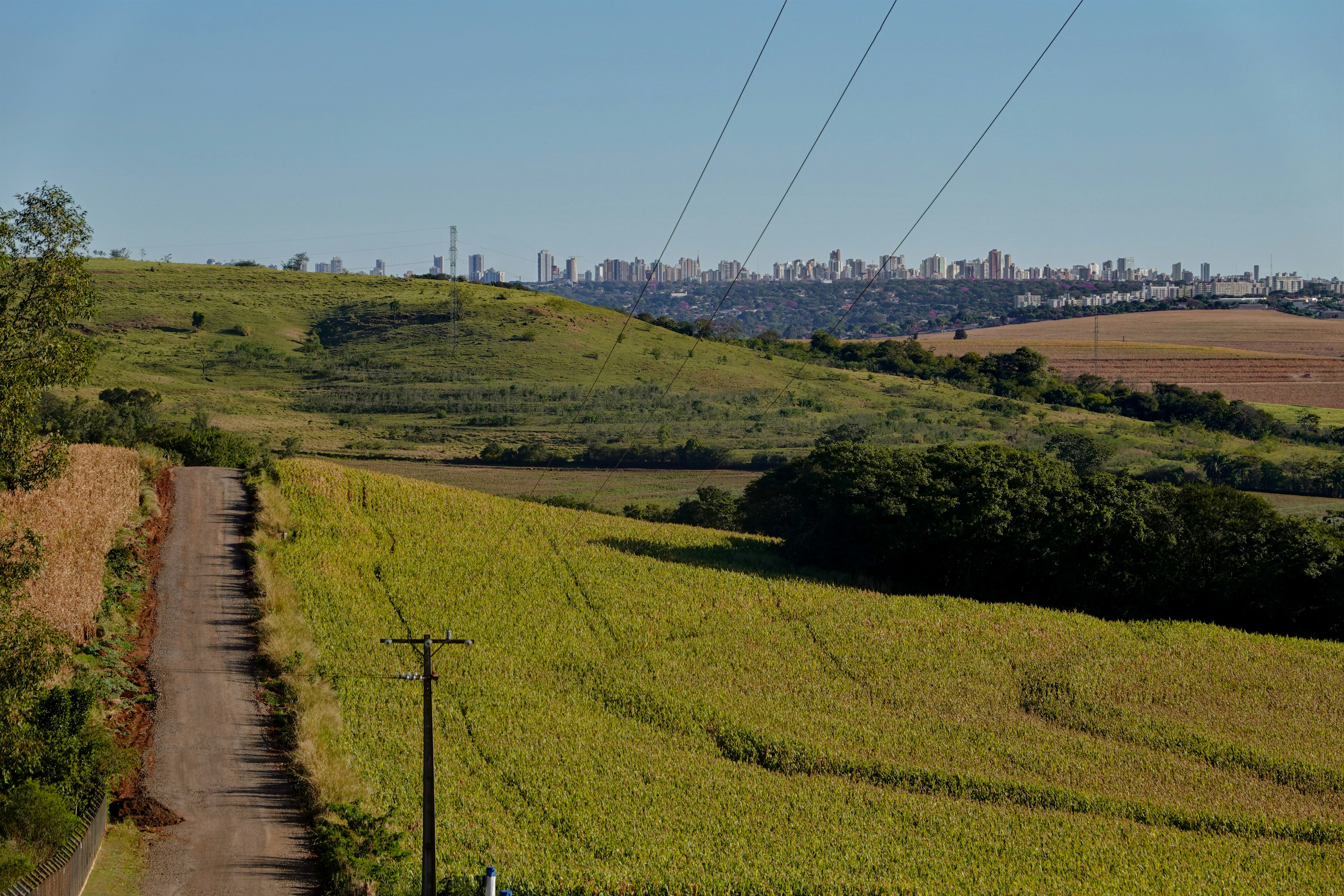 Urban Horizon: Where Fields Meet the City