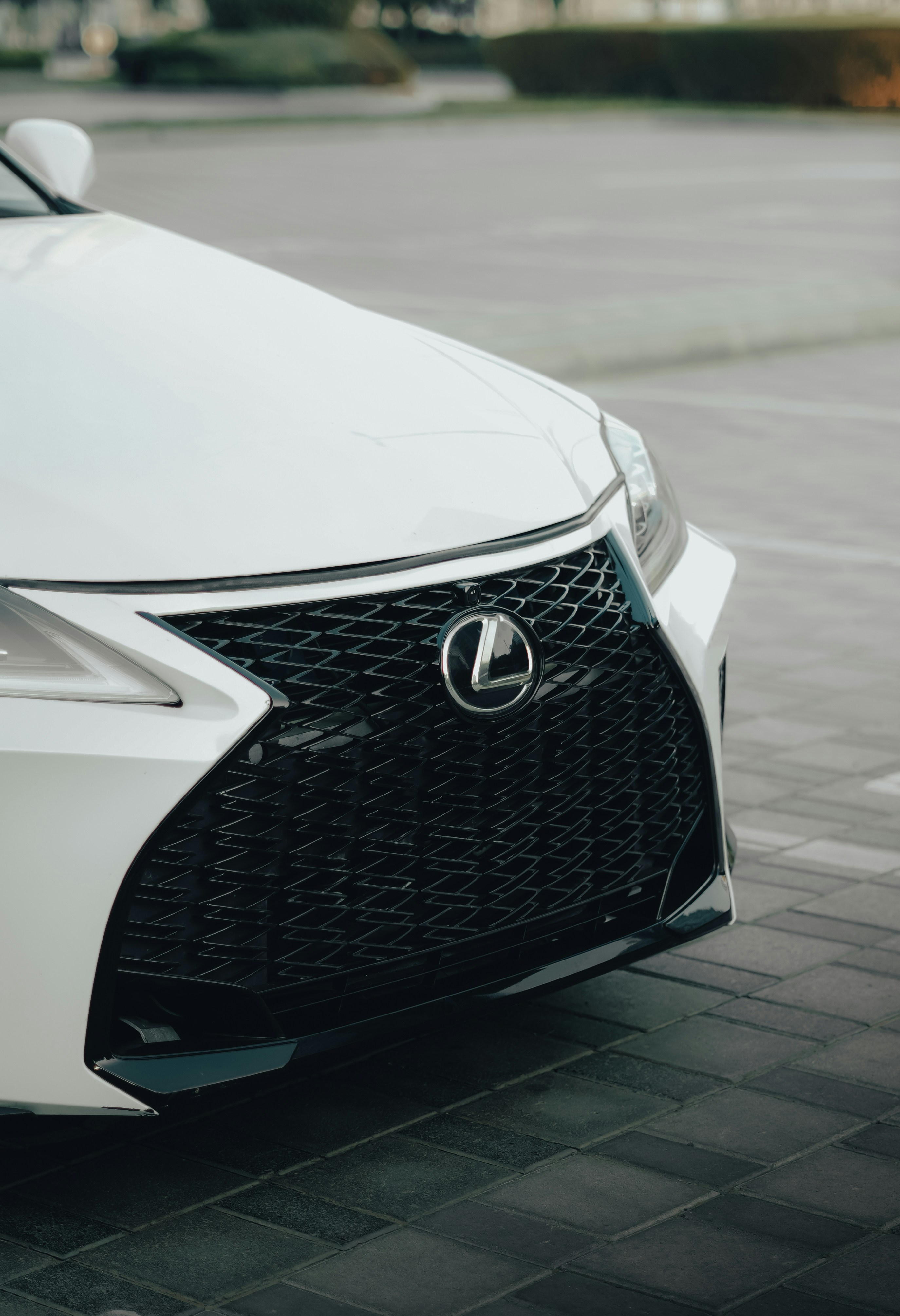 Close-up of a white lexus car grille