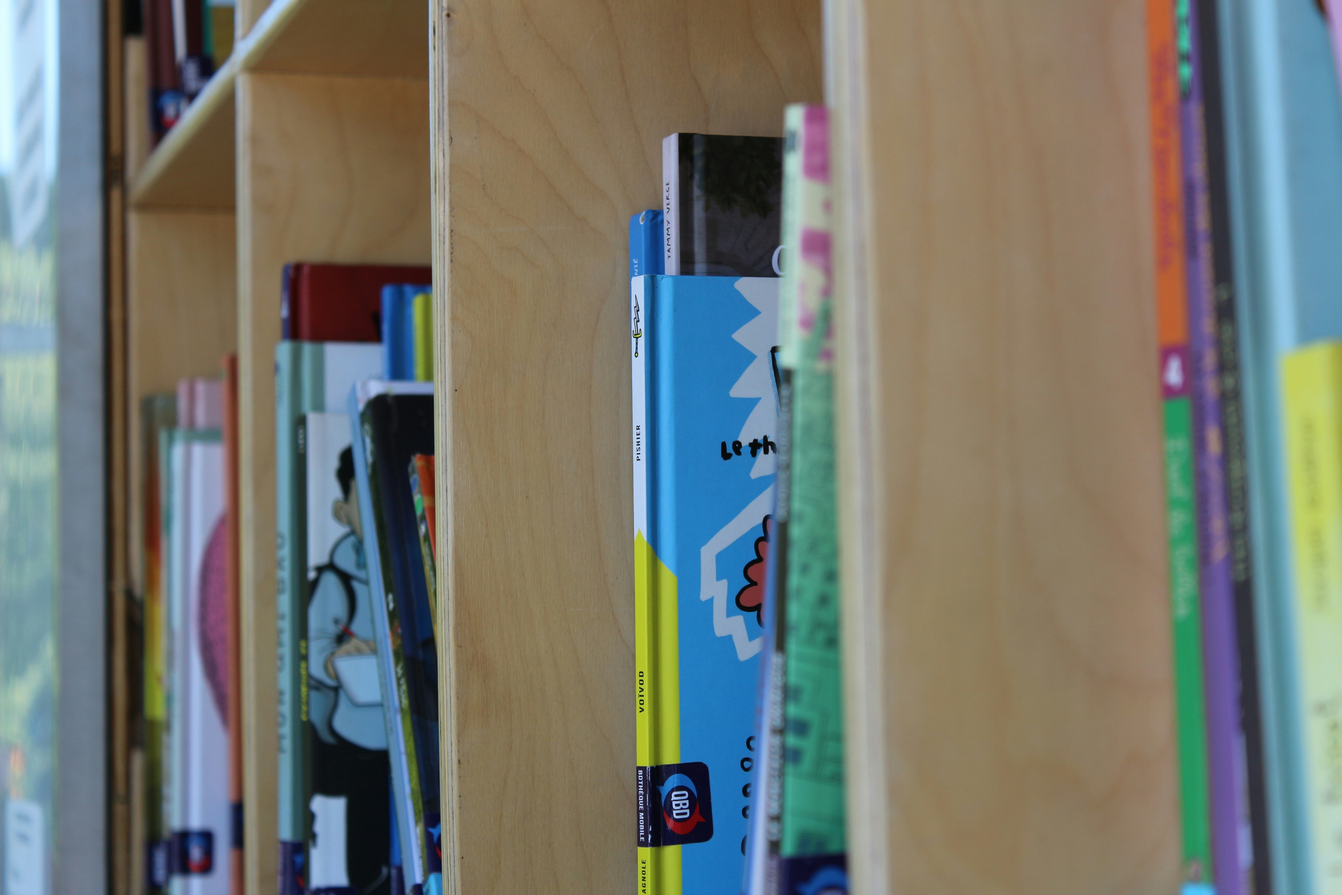 A Glimpse into Imagination: The Colorful World of Children's Books