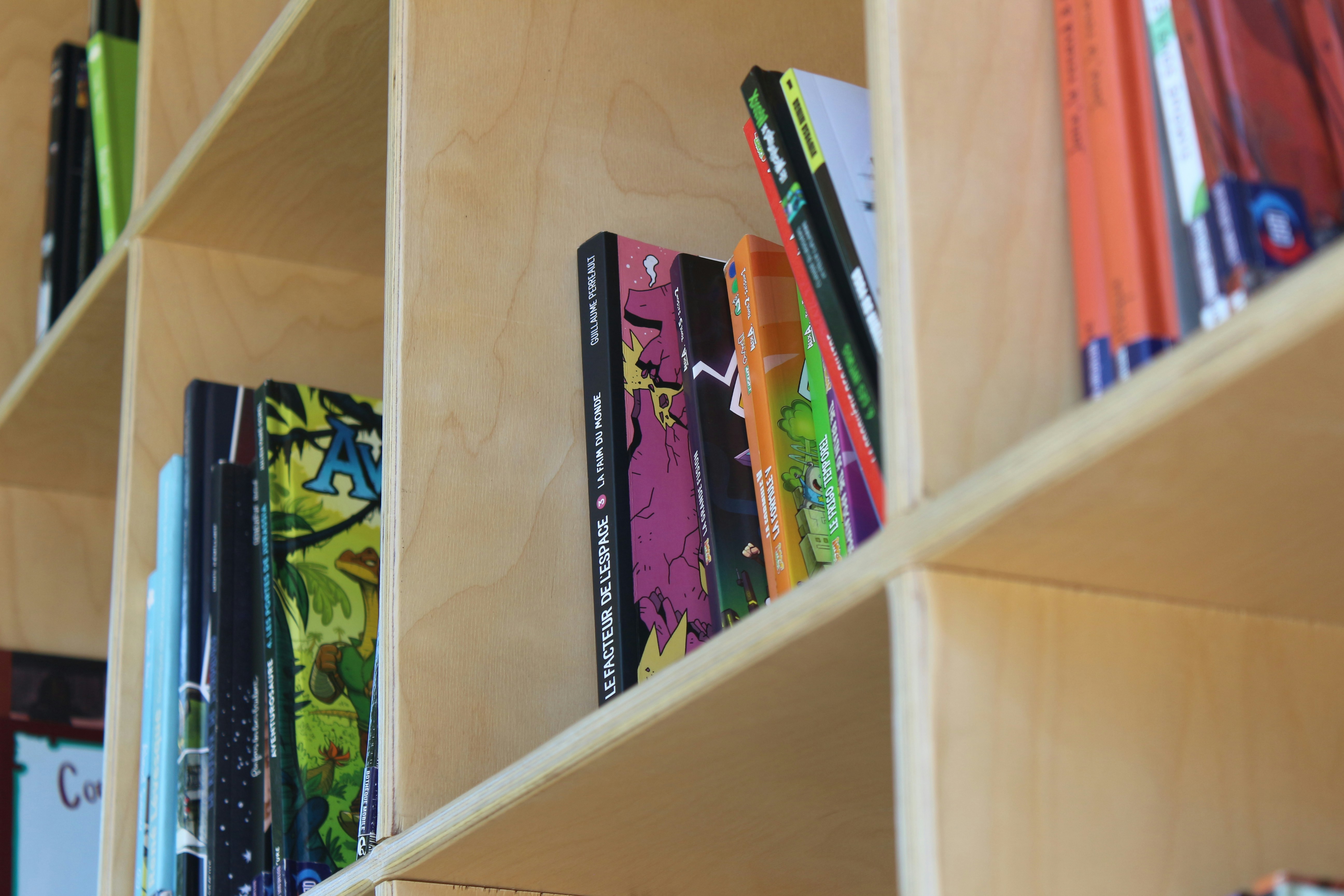 Eclectic Shelf of Stories
