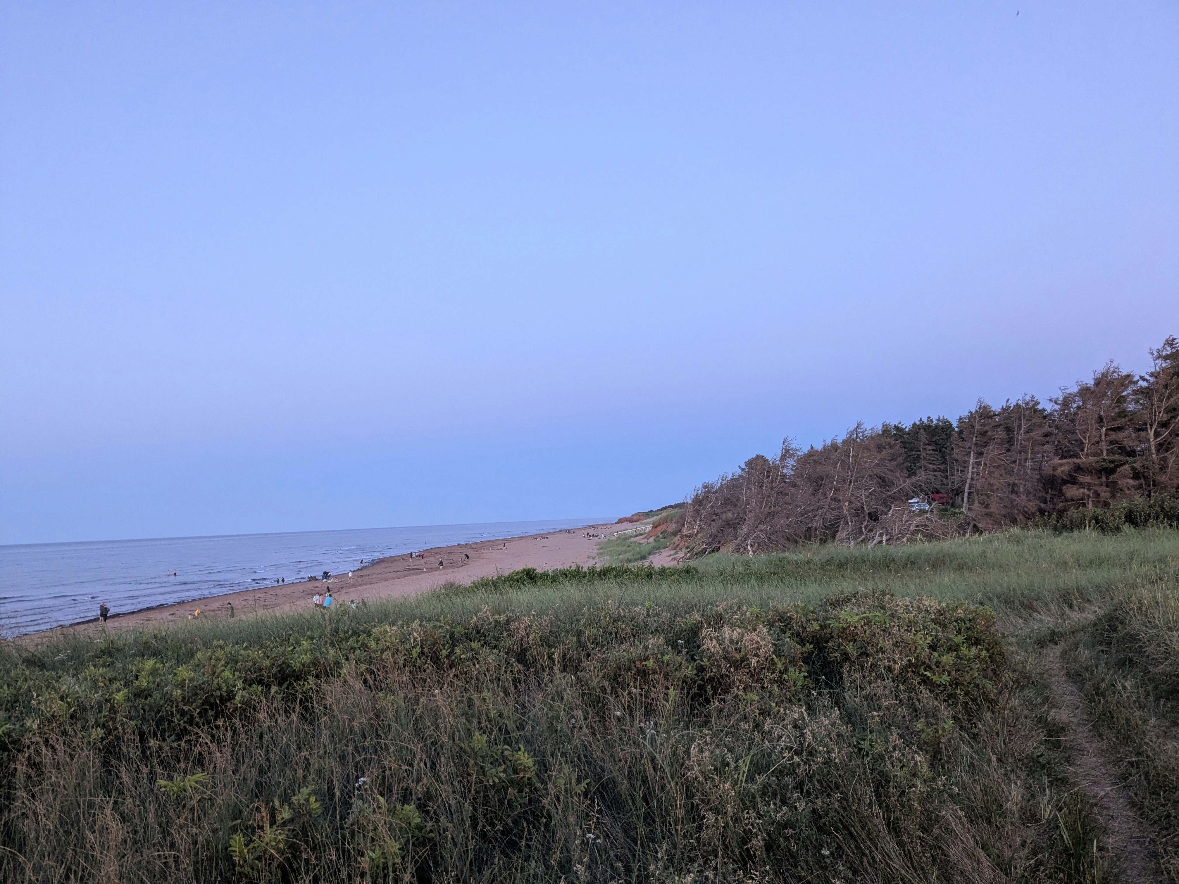 Whispers of the Shoreline at Dusk