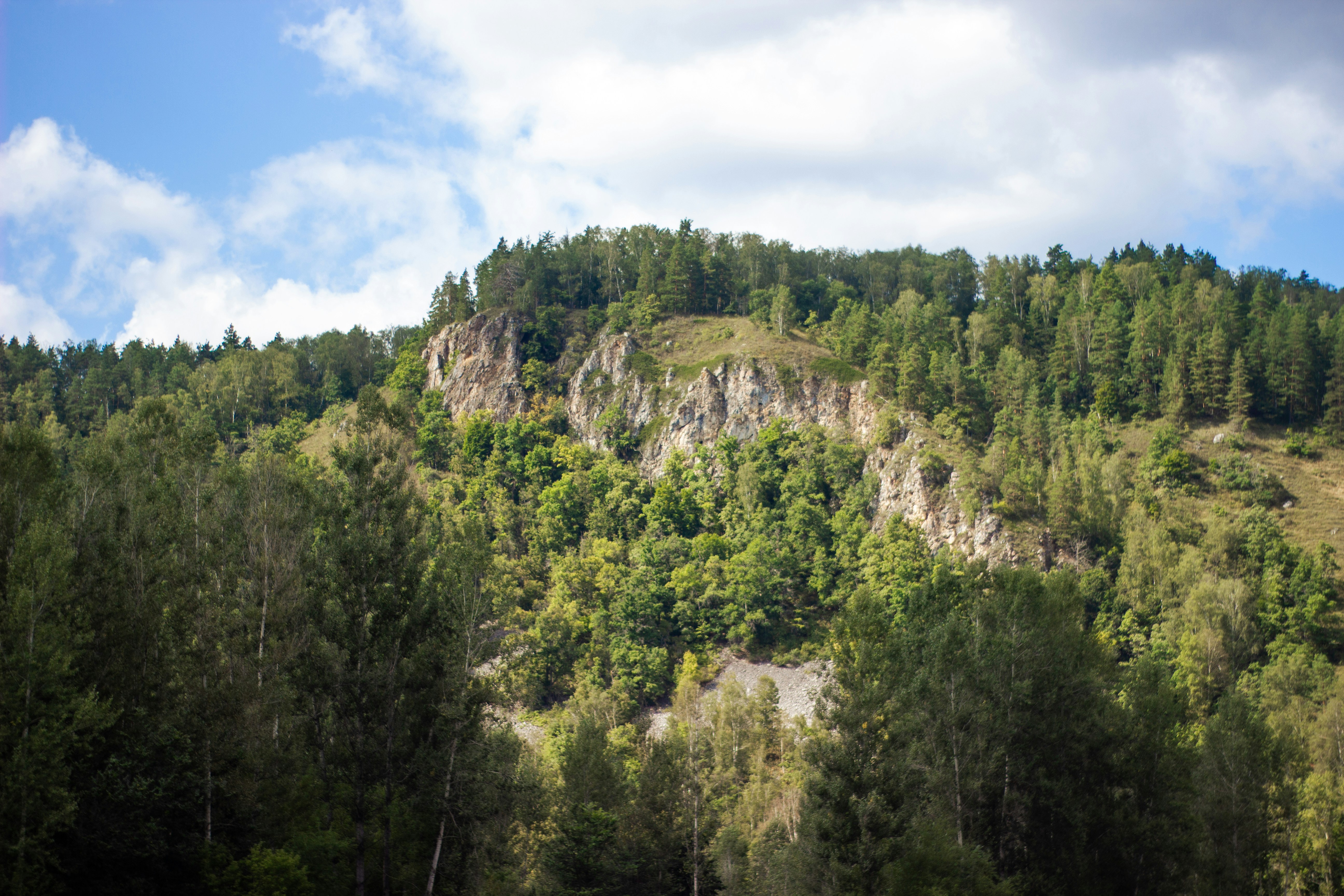 Forested hillside with rocky outcrops undergrowth undergrowth and blue sky