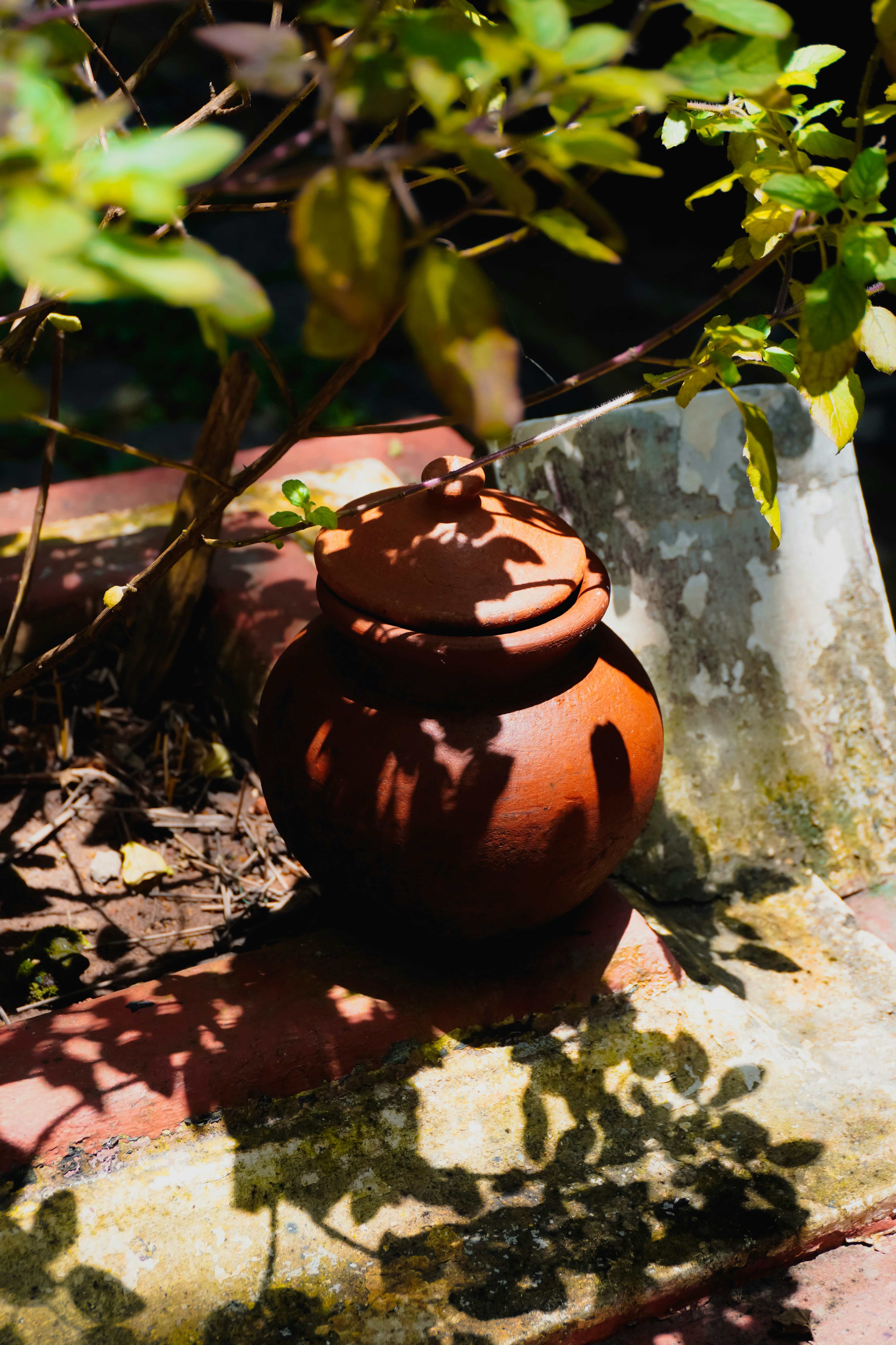 Whispers of Earth: The Terracotta Vessel