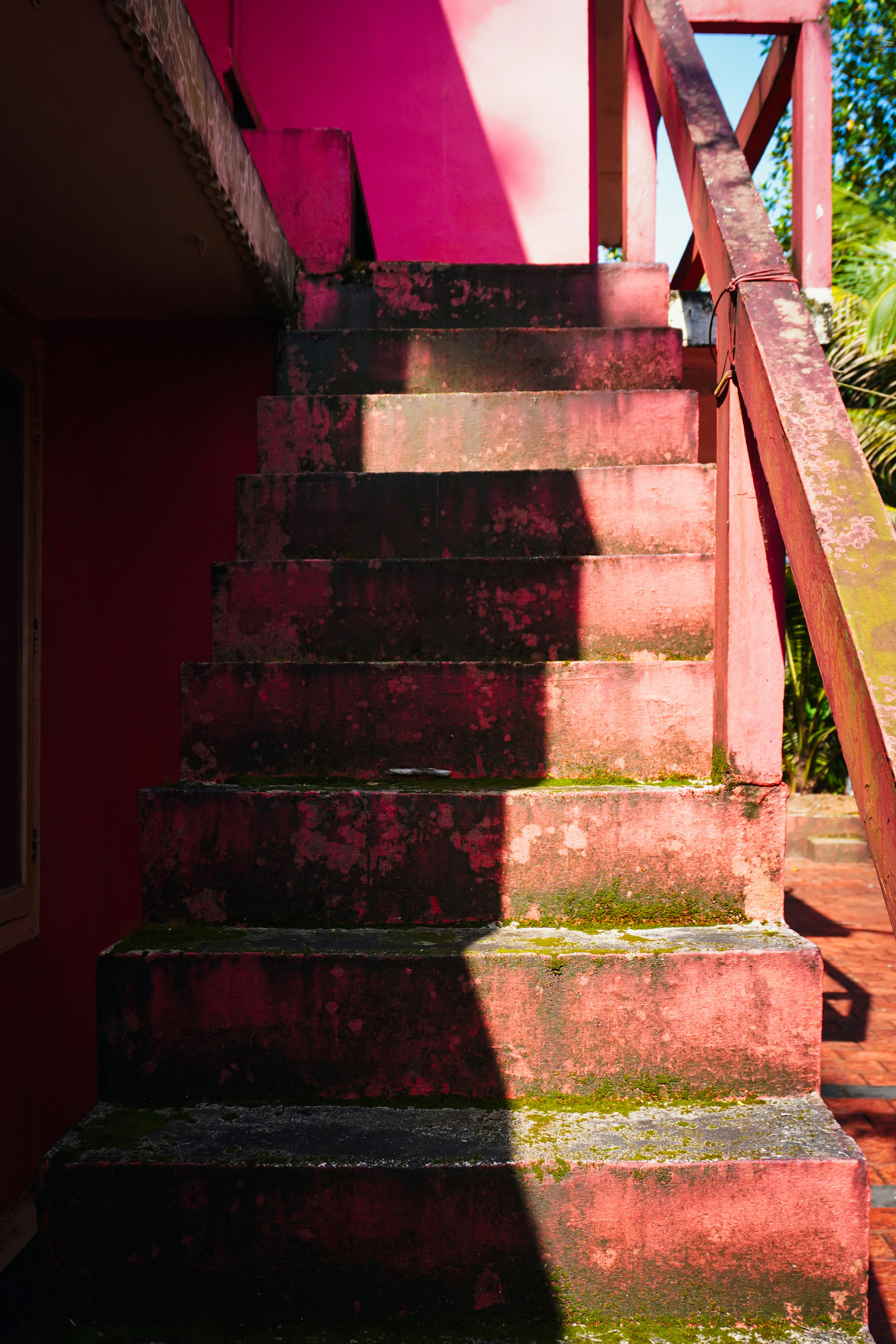 The Worn Path to Discovery