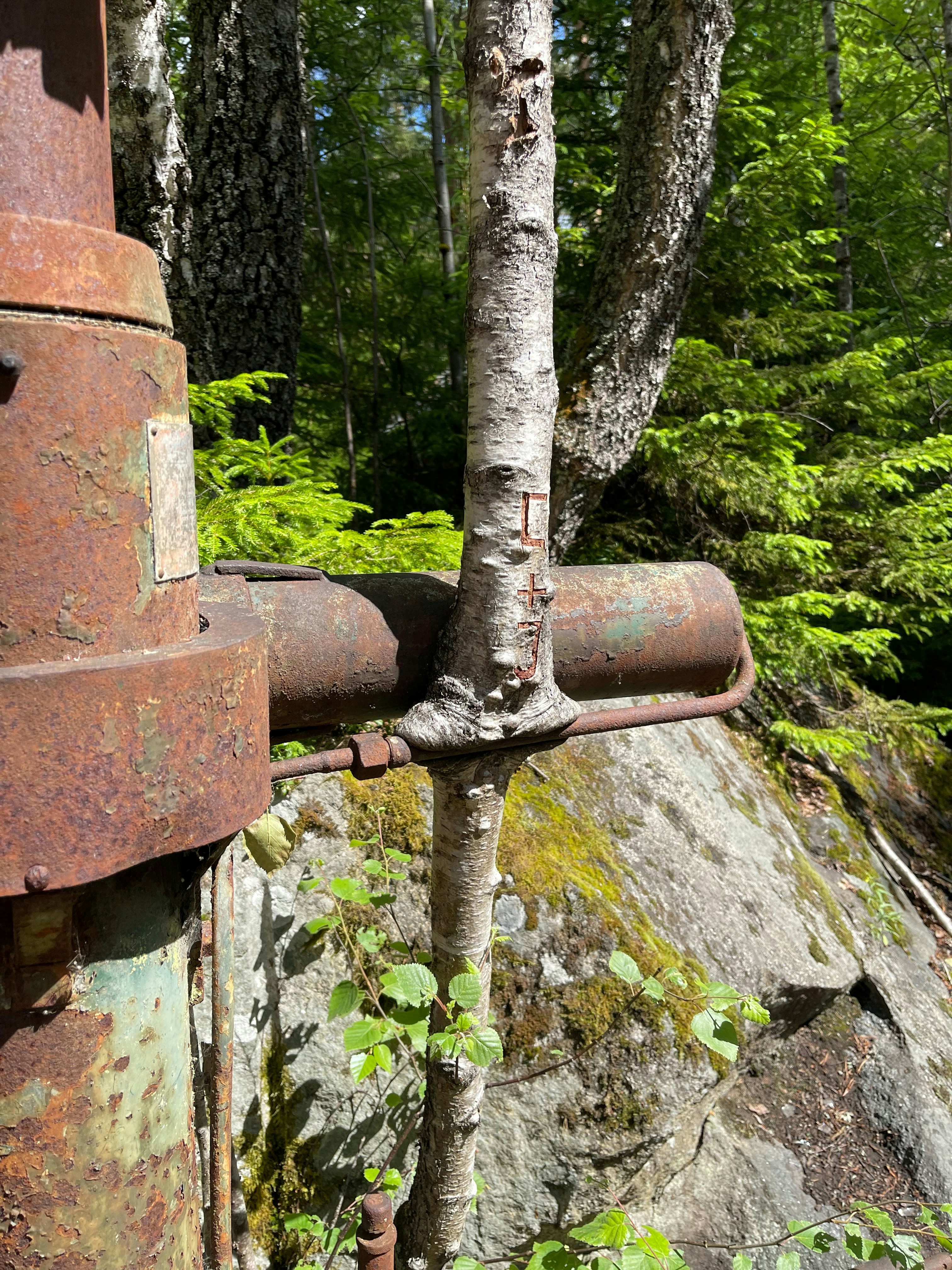 Rowan Bakkum (@rowanbakkum) | Unsplash Photo Community