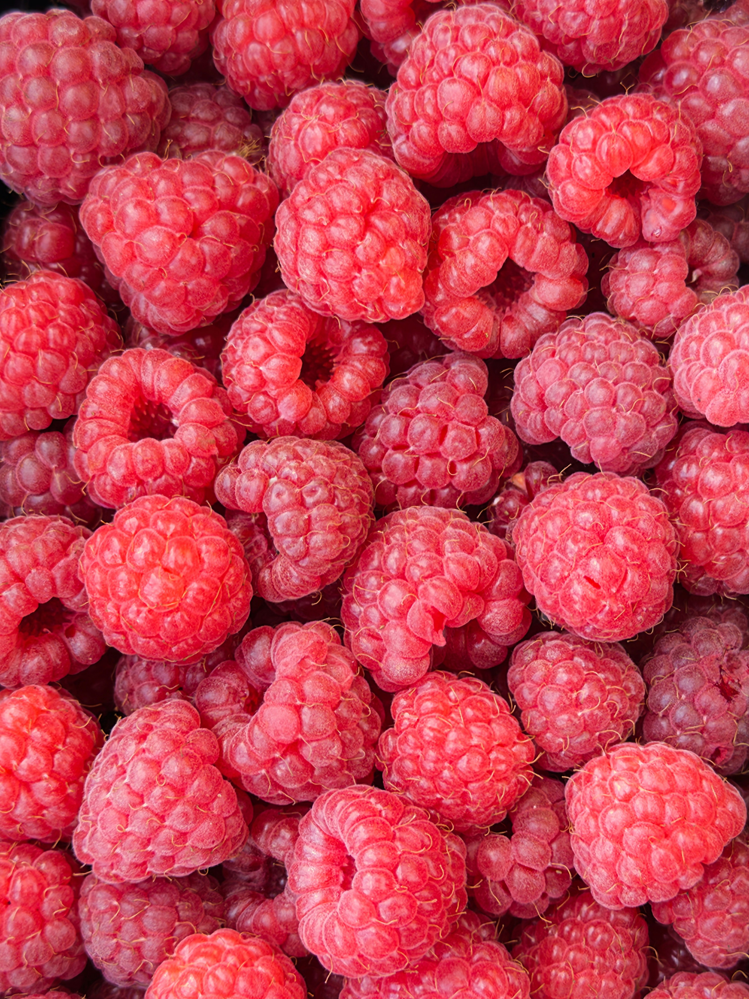 A vibrant collection of fresh raspberries, showcasing their rich red hues and unique textures. Perfect for culinary inspiration.