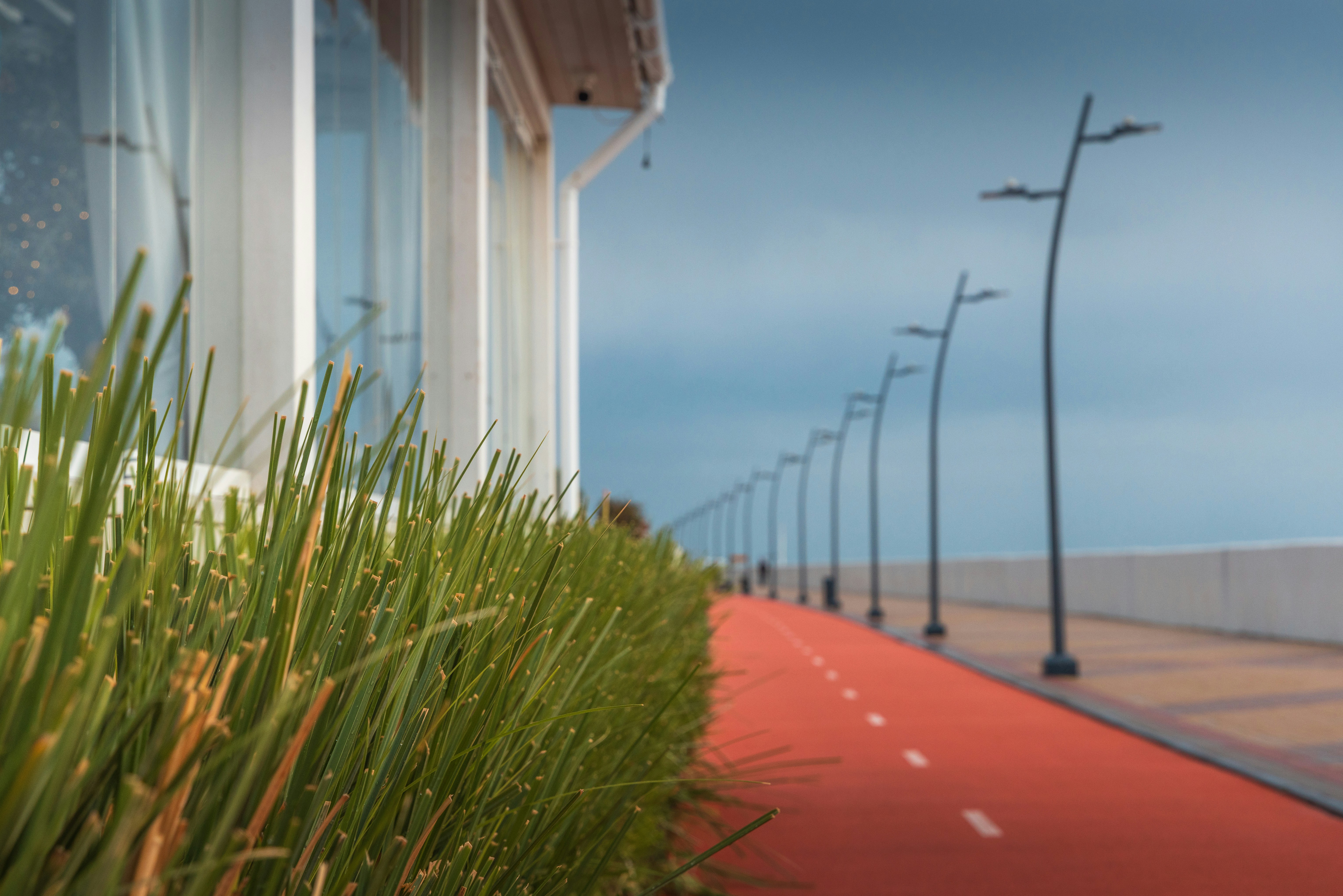 Red Asphalt Pathway: A Coastal Promenade Framed by Coastal Grasses