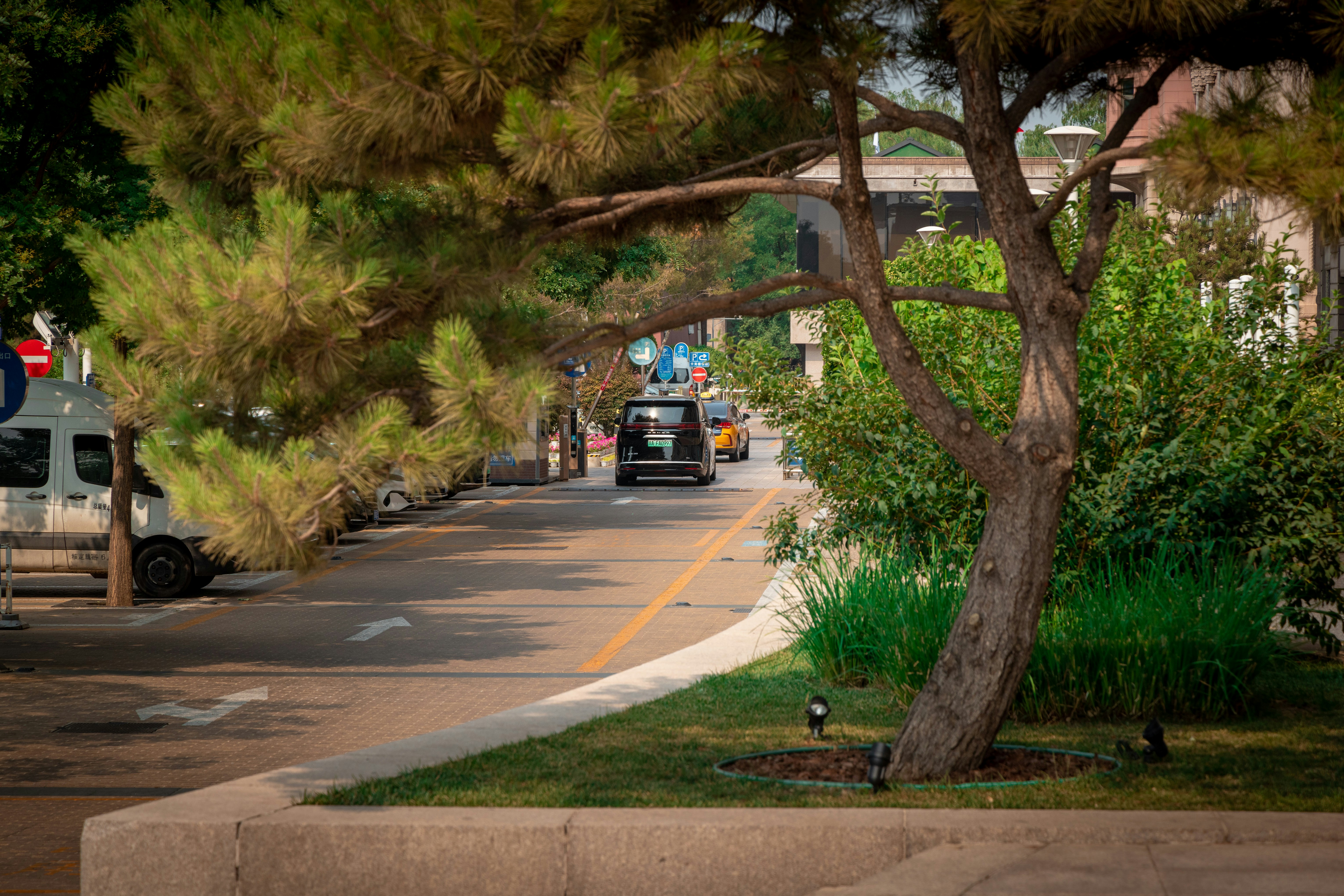 Trees line a street with cars driving on it.