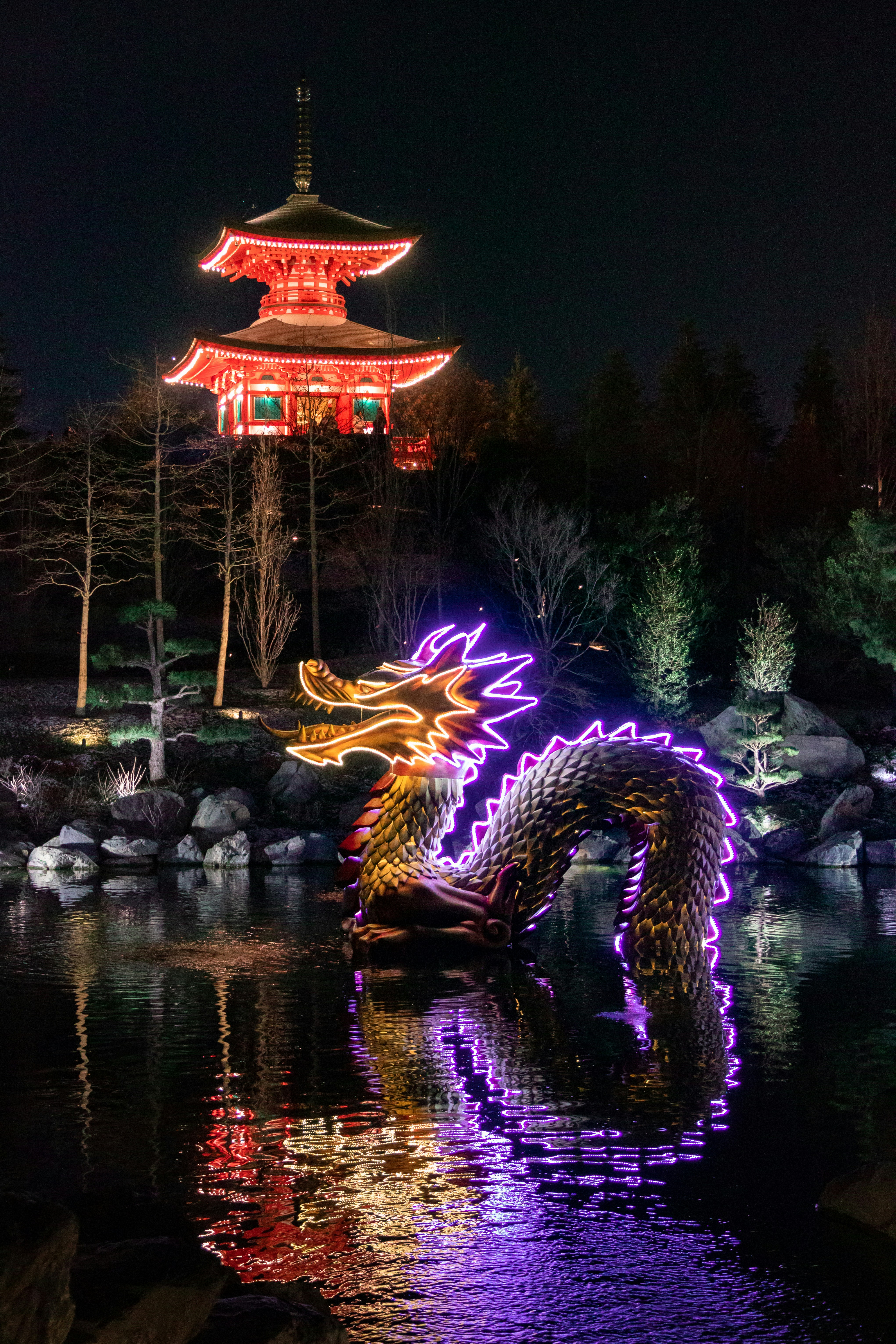 Illuminated Harmony: Dragon and Pagoda at Night