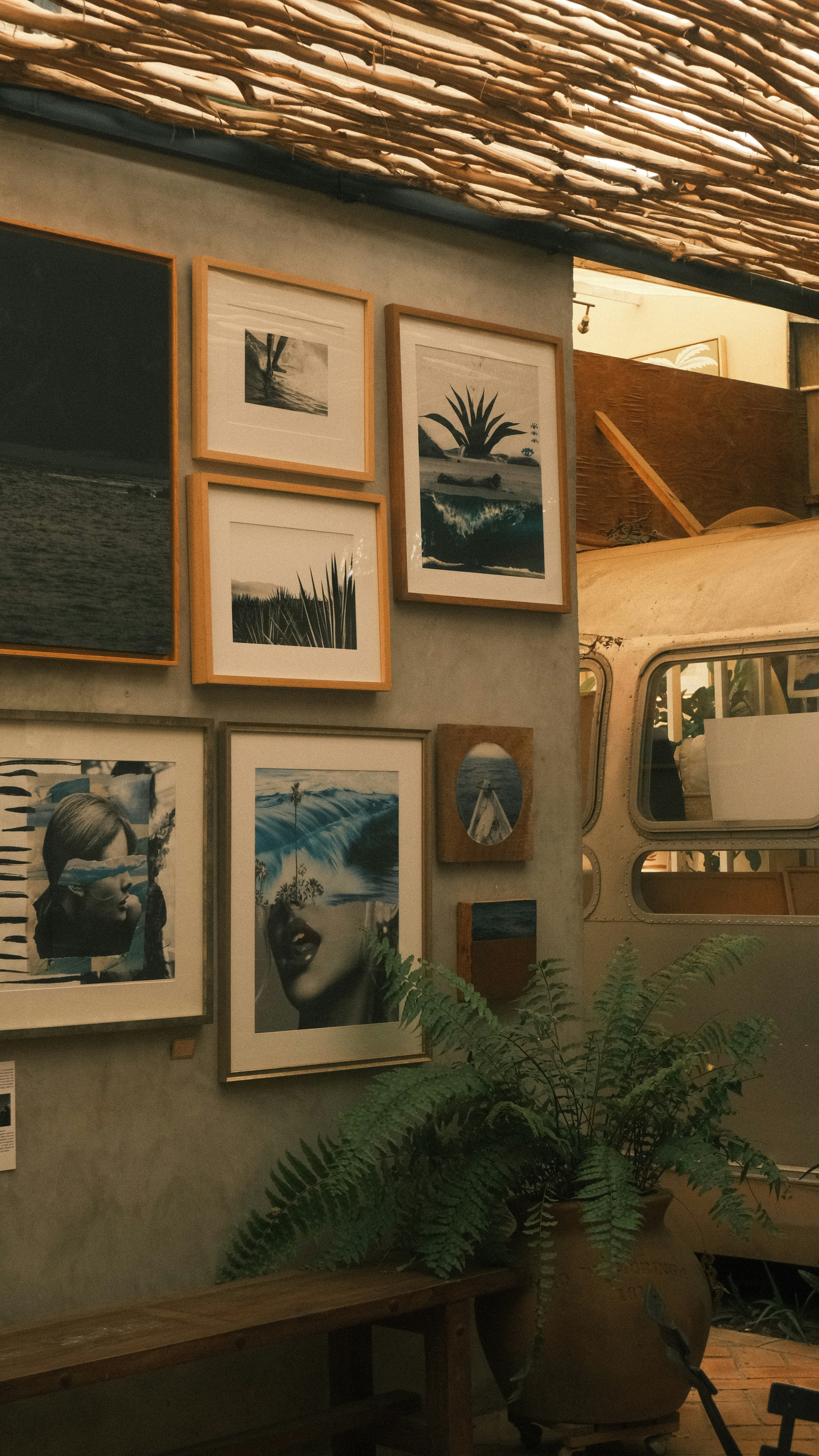 Echoes of Nature: A Gallery of Tranquil Reflections