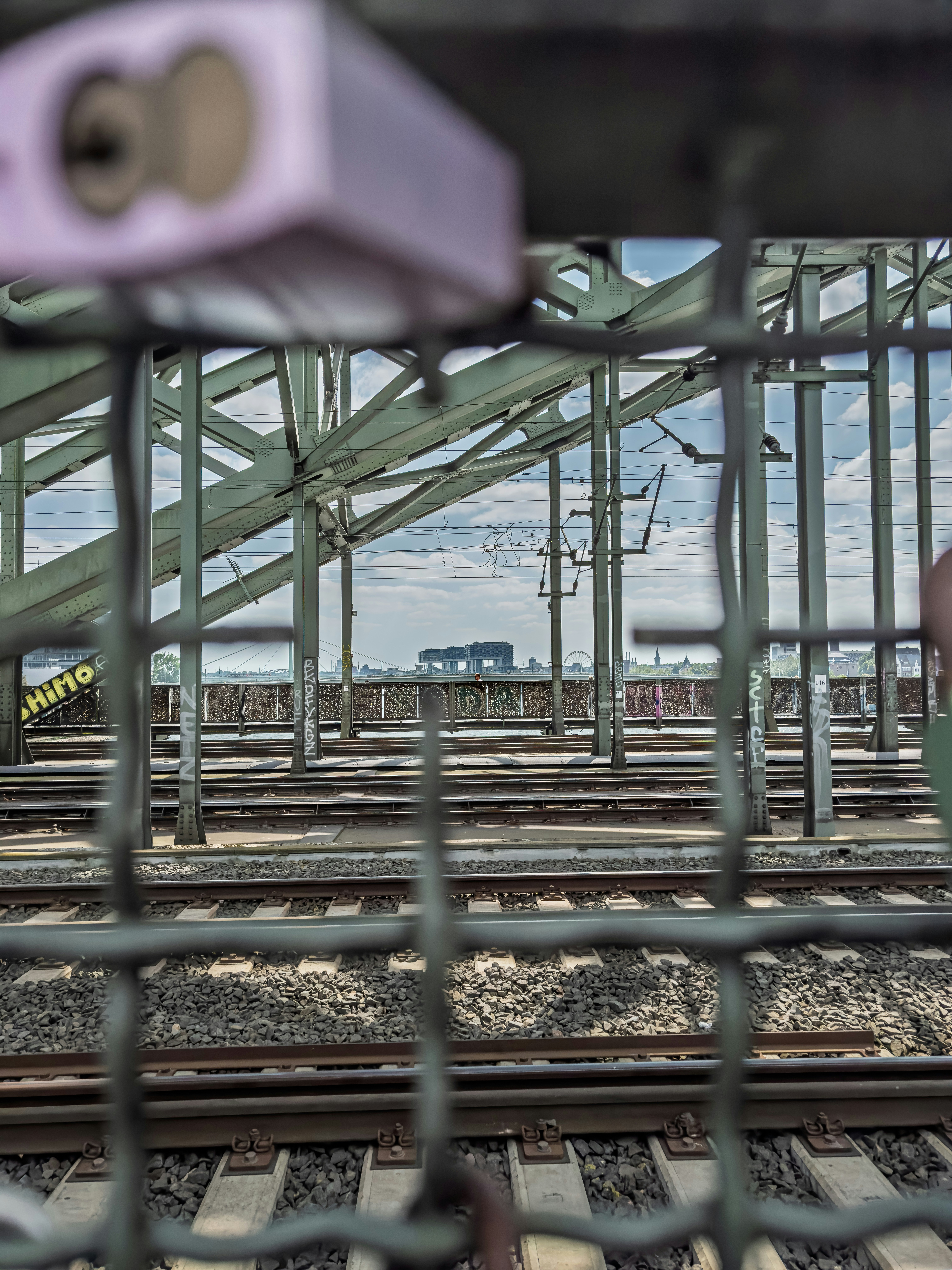 Urban Veins: A Glimpse Through the Grate