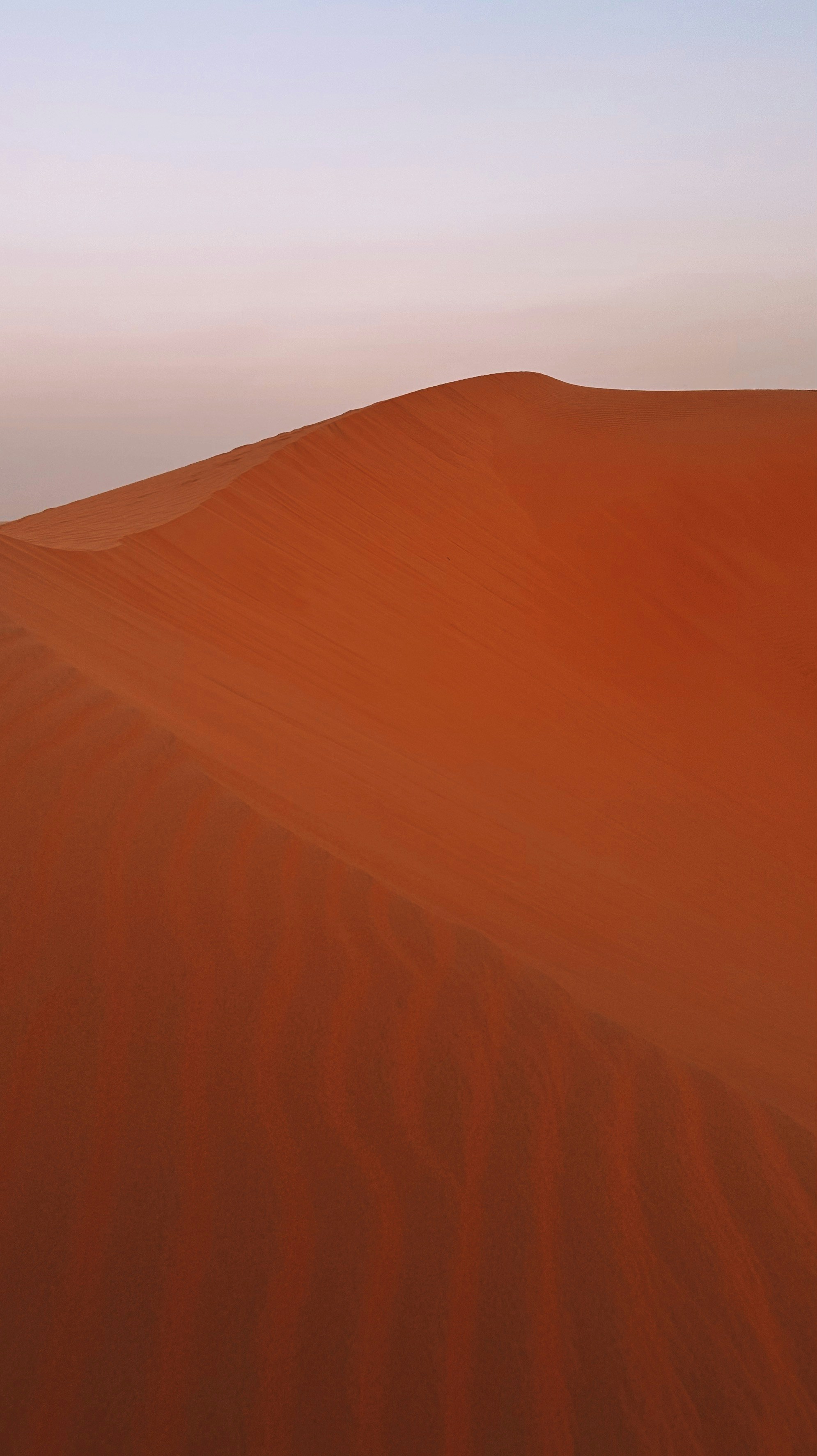 Whispers of the Desert Dunes