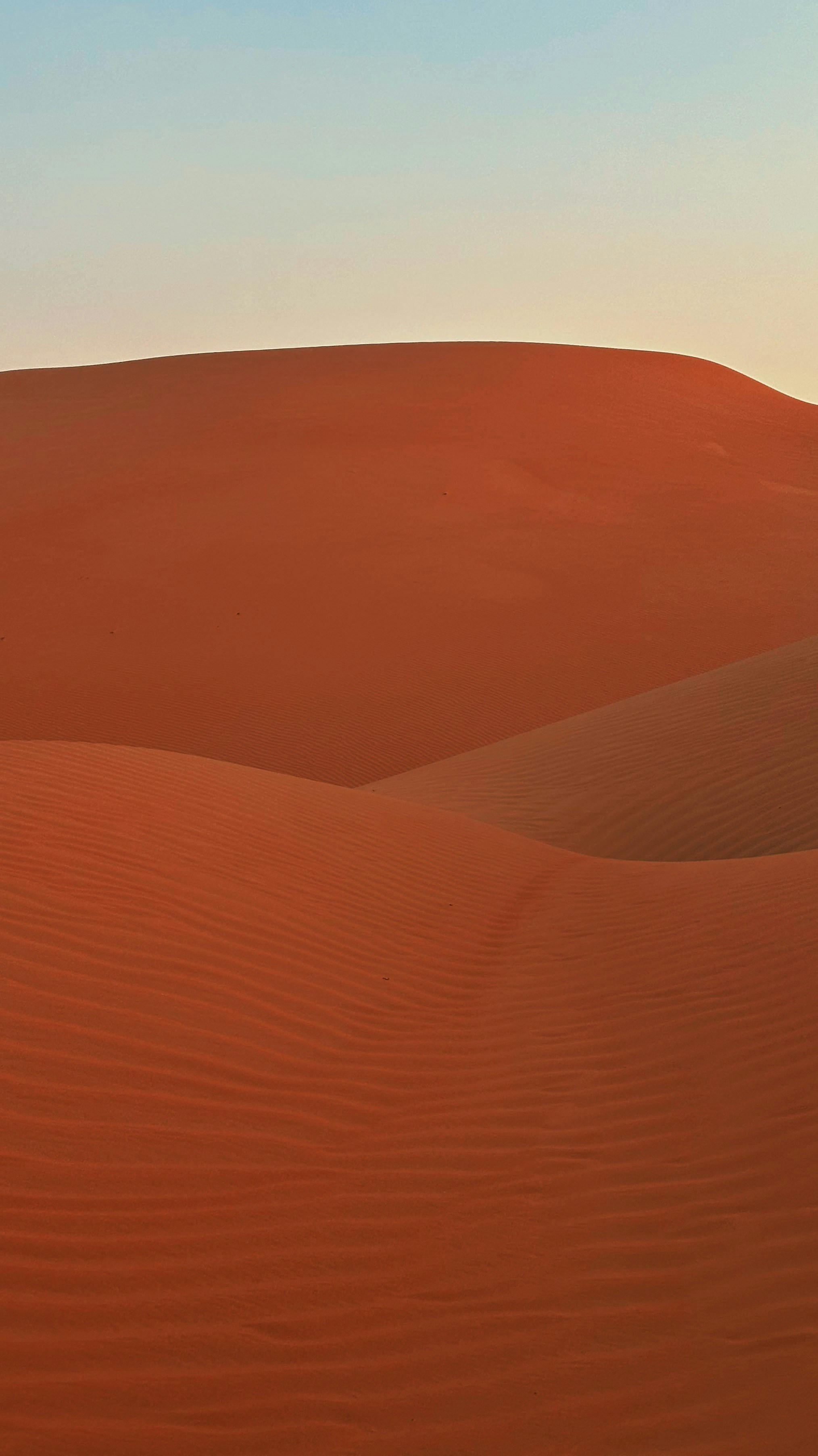 Waves of Warmth: The Serenity of Desert Dunes