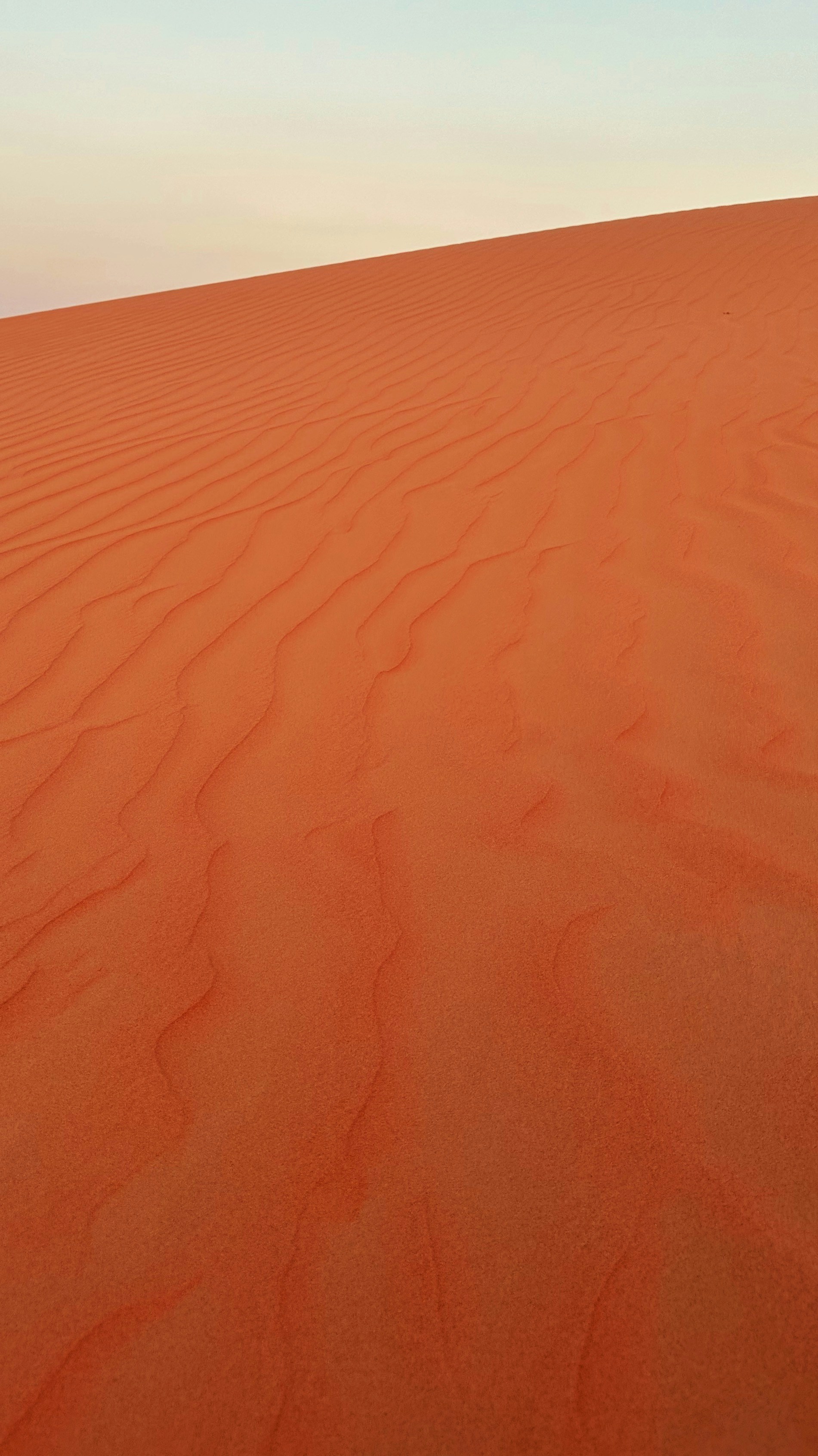 Whispers of the Desert Dunes