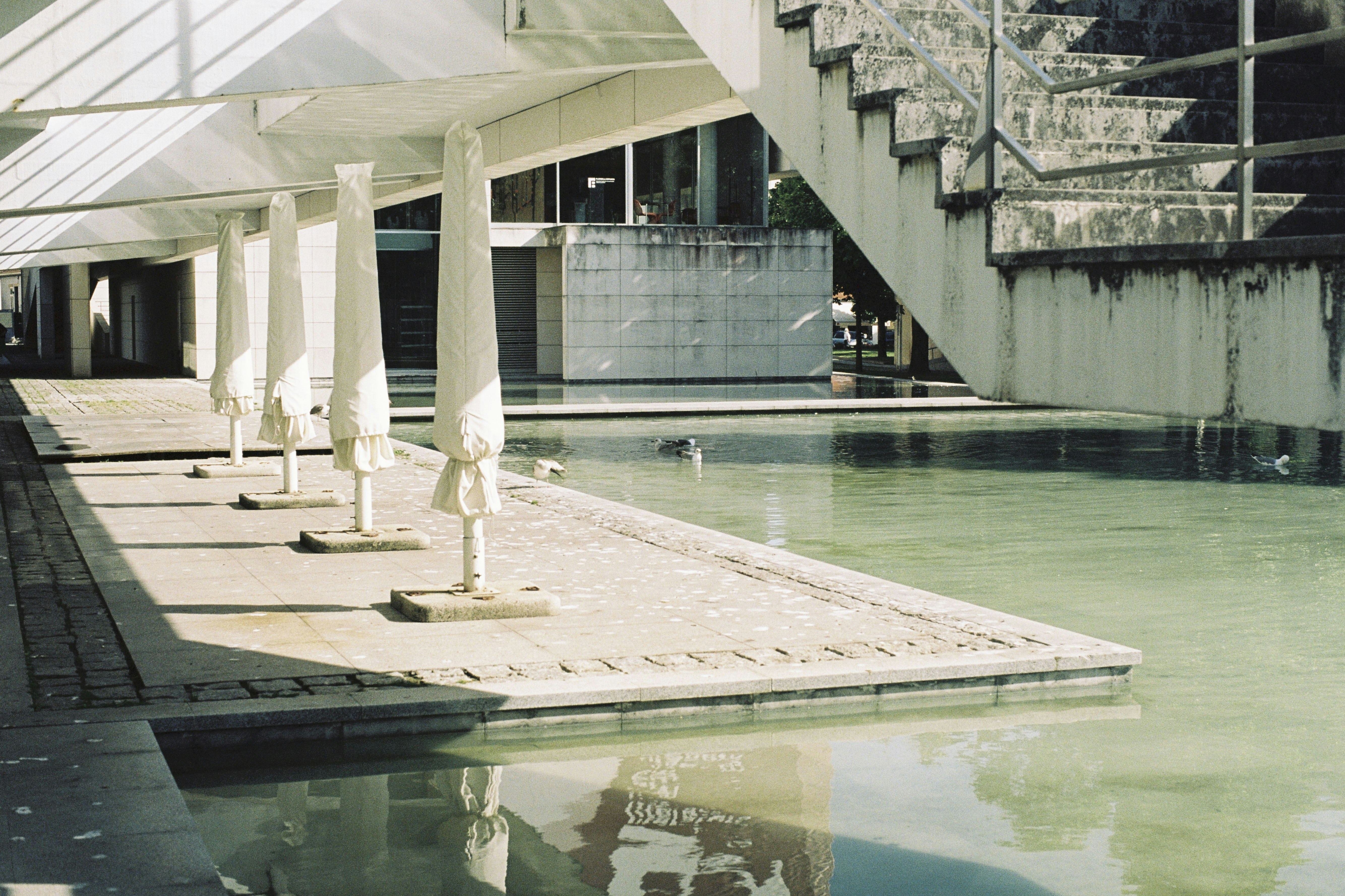 Architecture Reflections | Modern building with reflecting pool and stairs