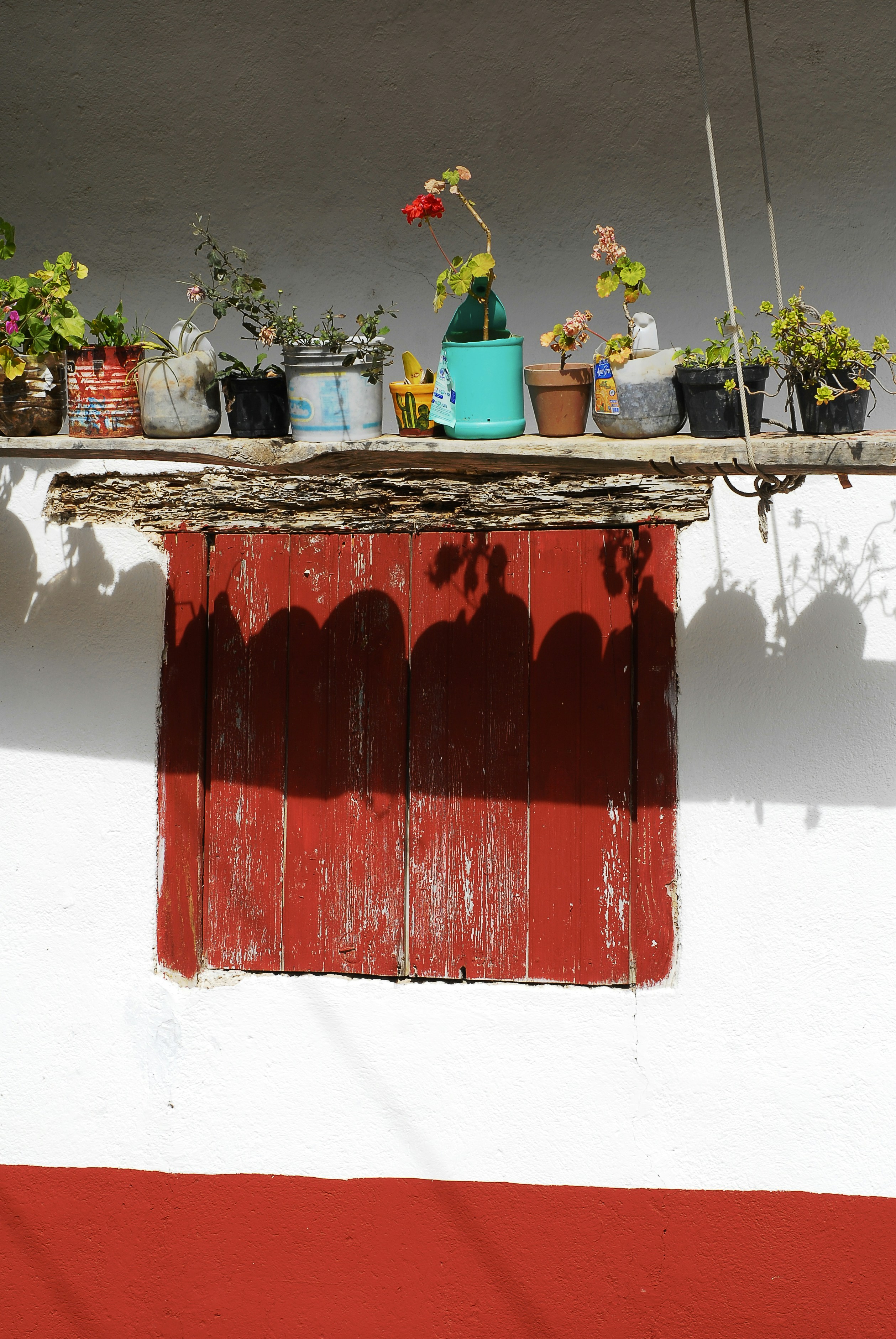 Whimsical Urban Garden on a Rustic Shelf