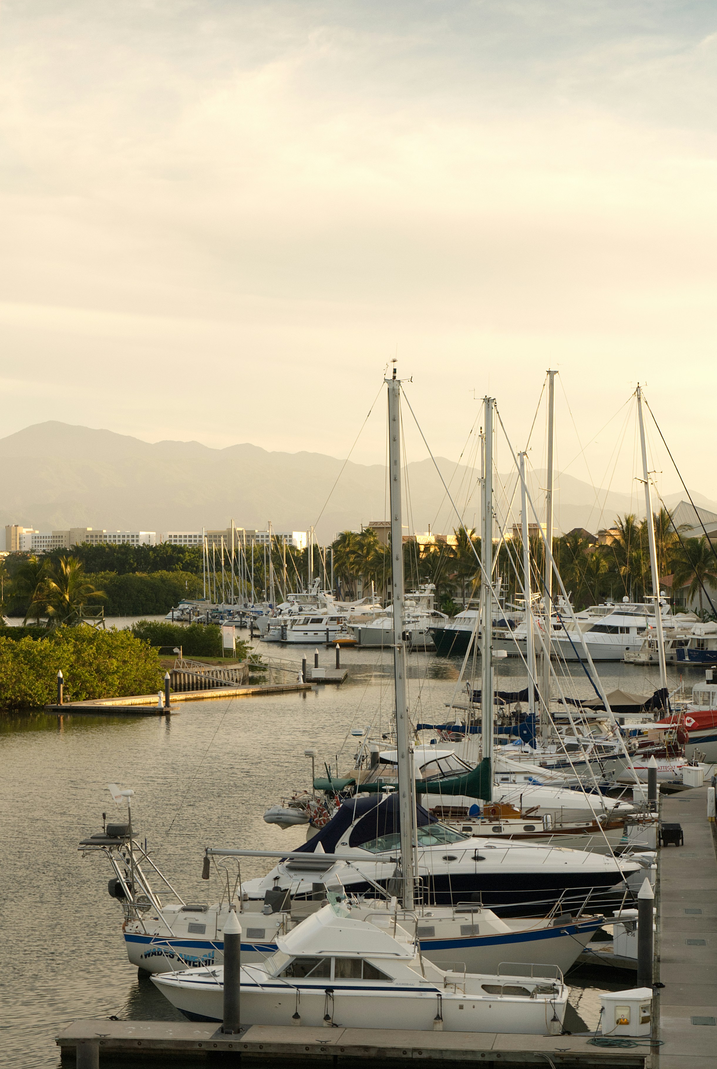 Boats in a public marina | Sailboats docked in a calm harbor with mountains beyond.