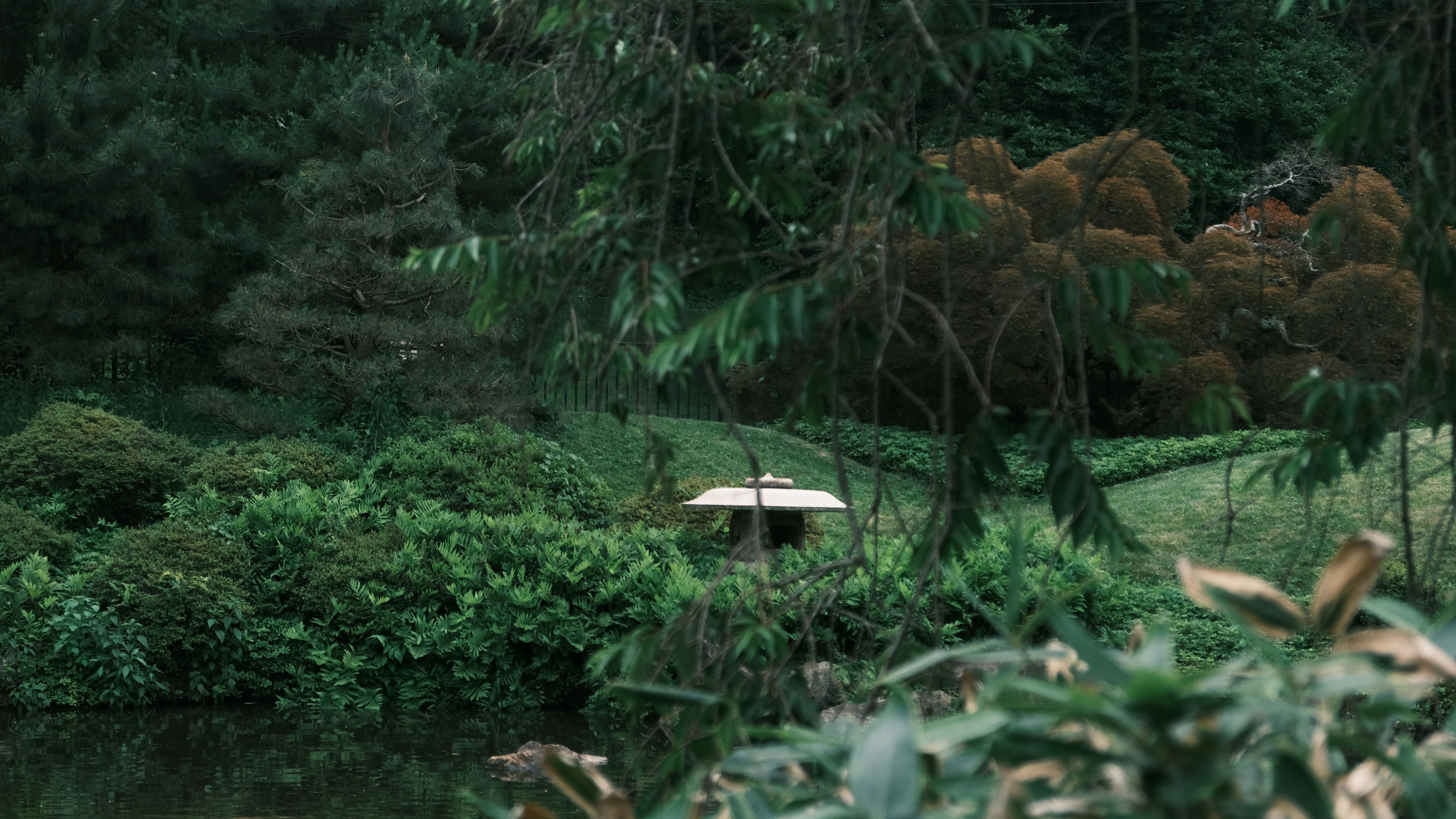 Serenity Under the Canopy