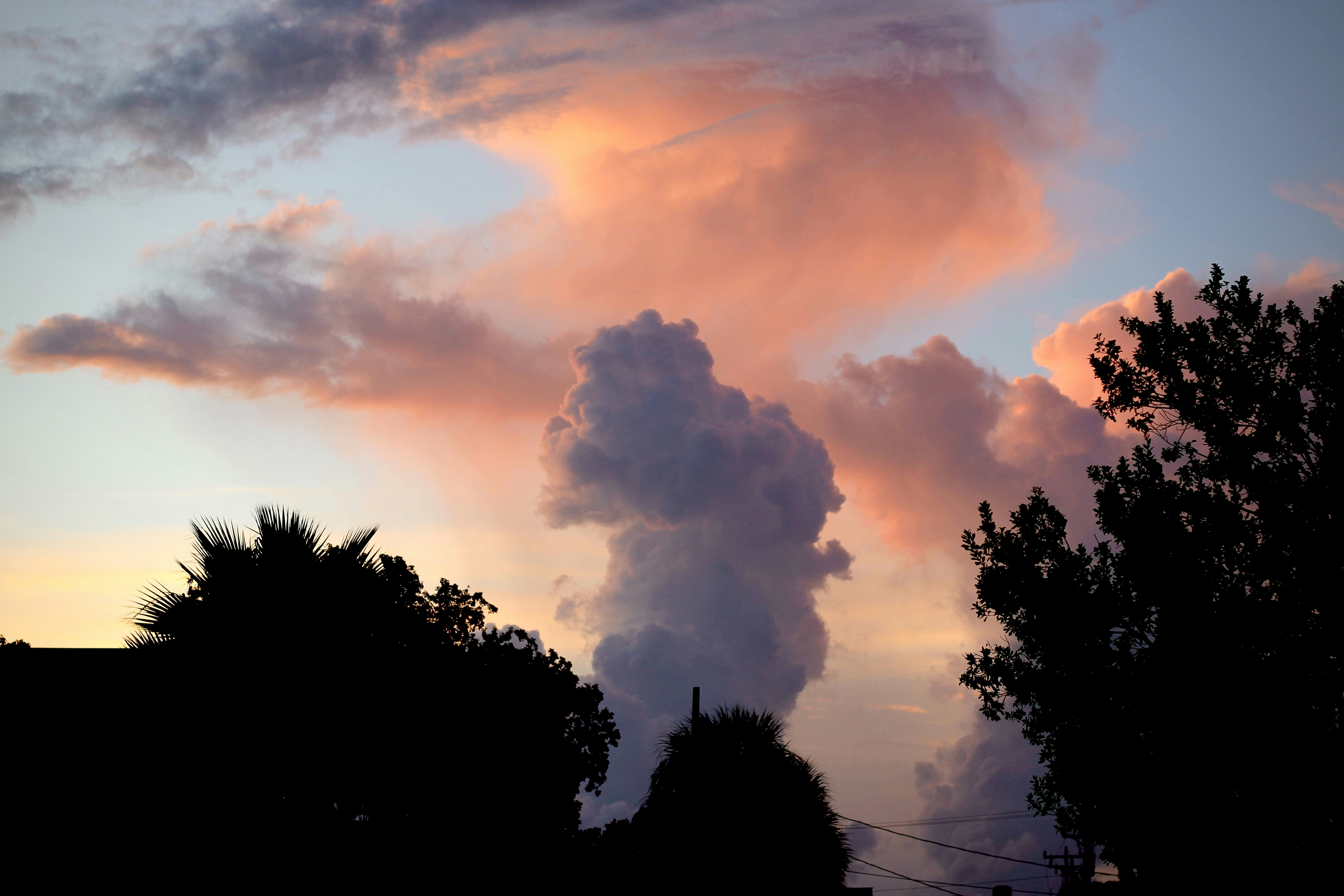 Pink and purple clouds at sunset with silhouetted trees.