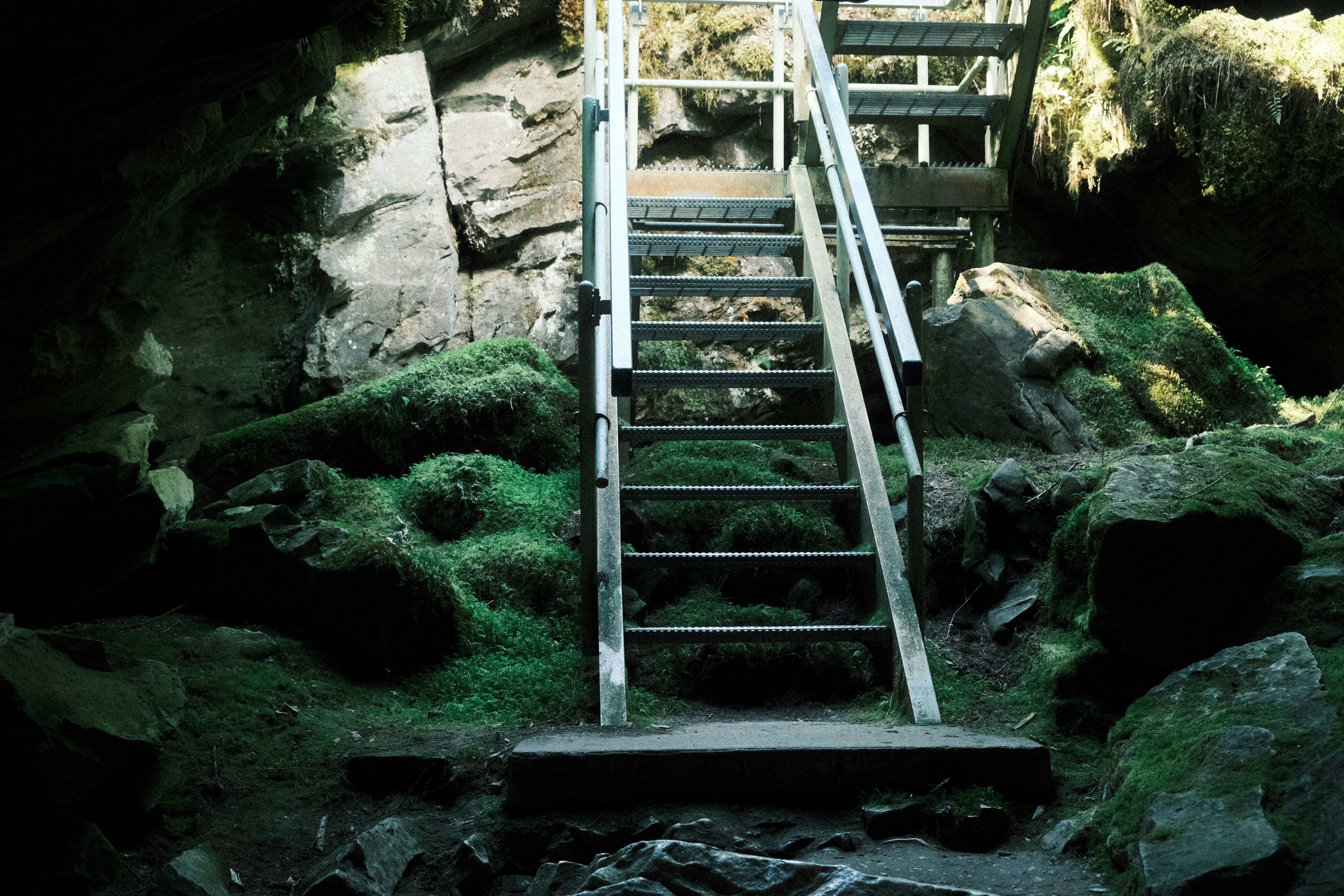 Emerging from Shadows: The Pathway to Discovery