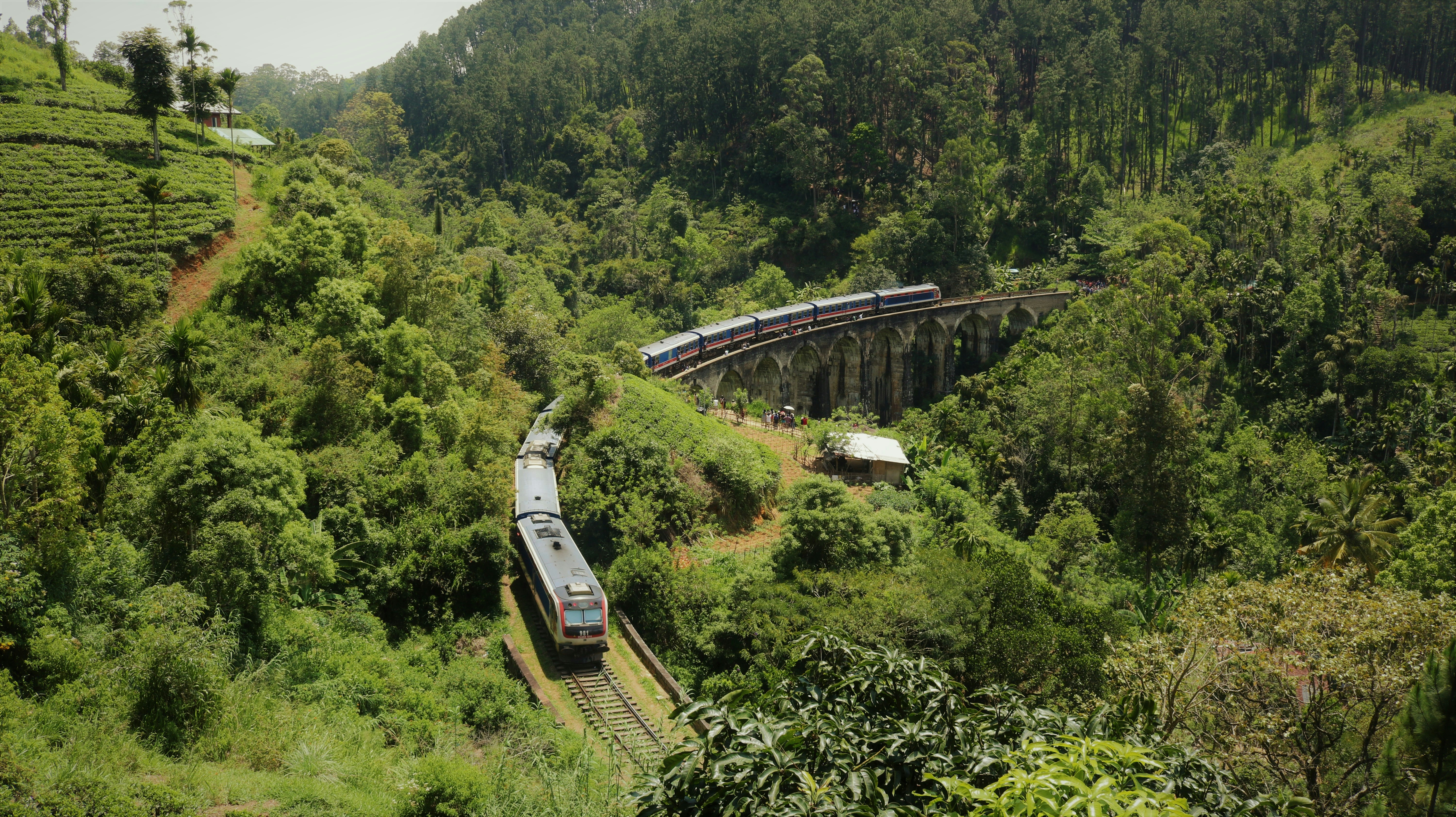 Journey Through the Emerald Hills
