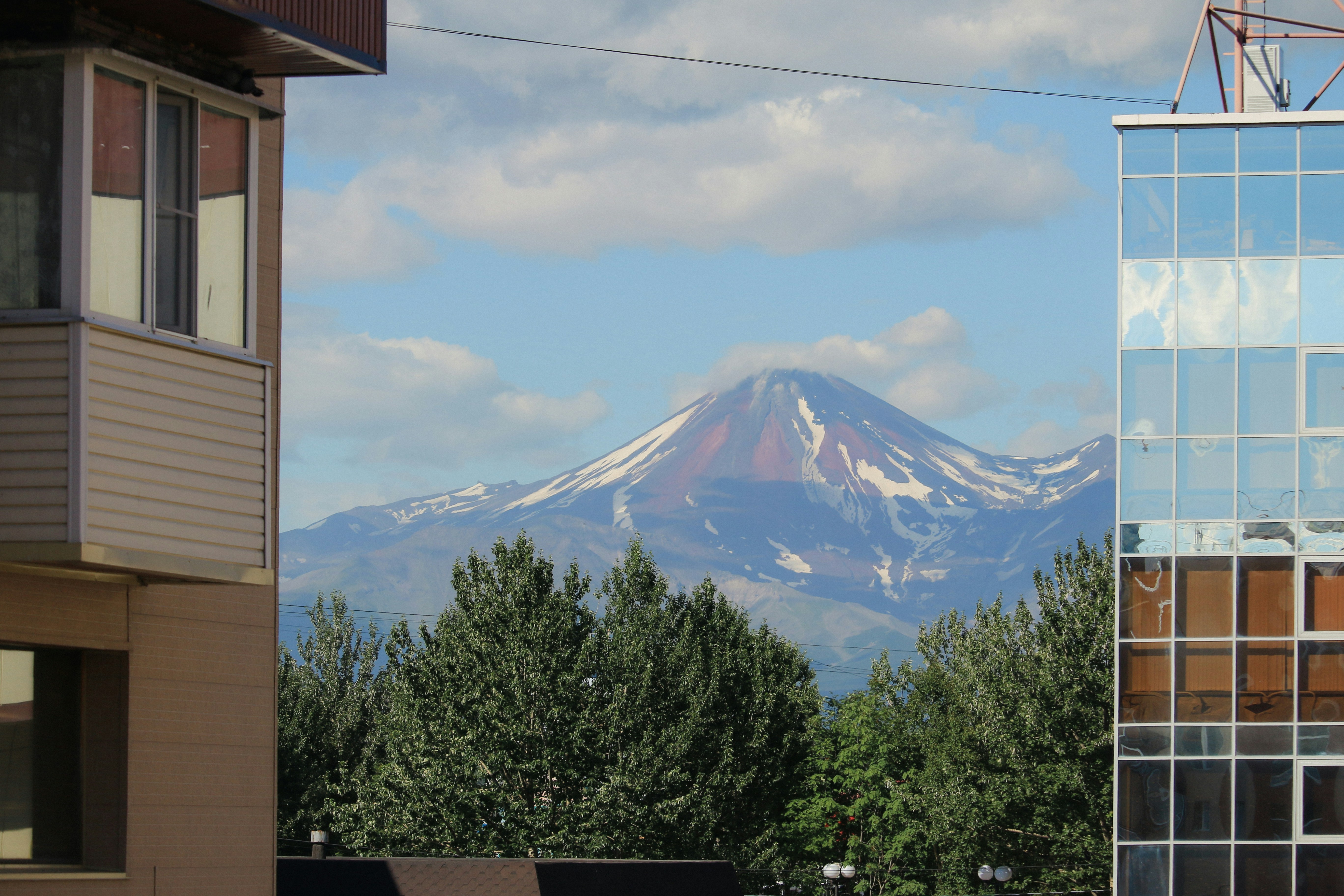 Snow-capped mountain viewed between buildings and trees