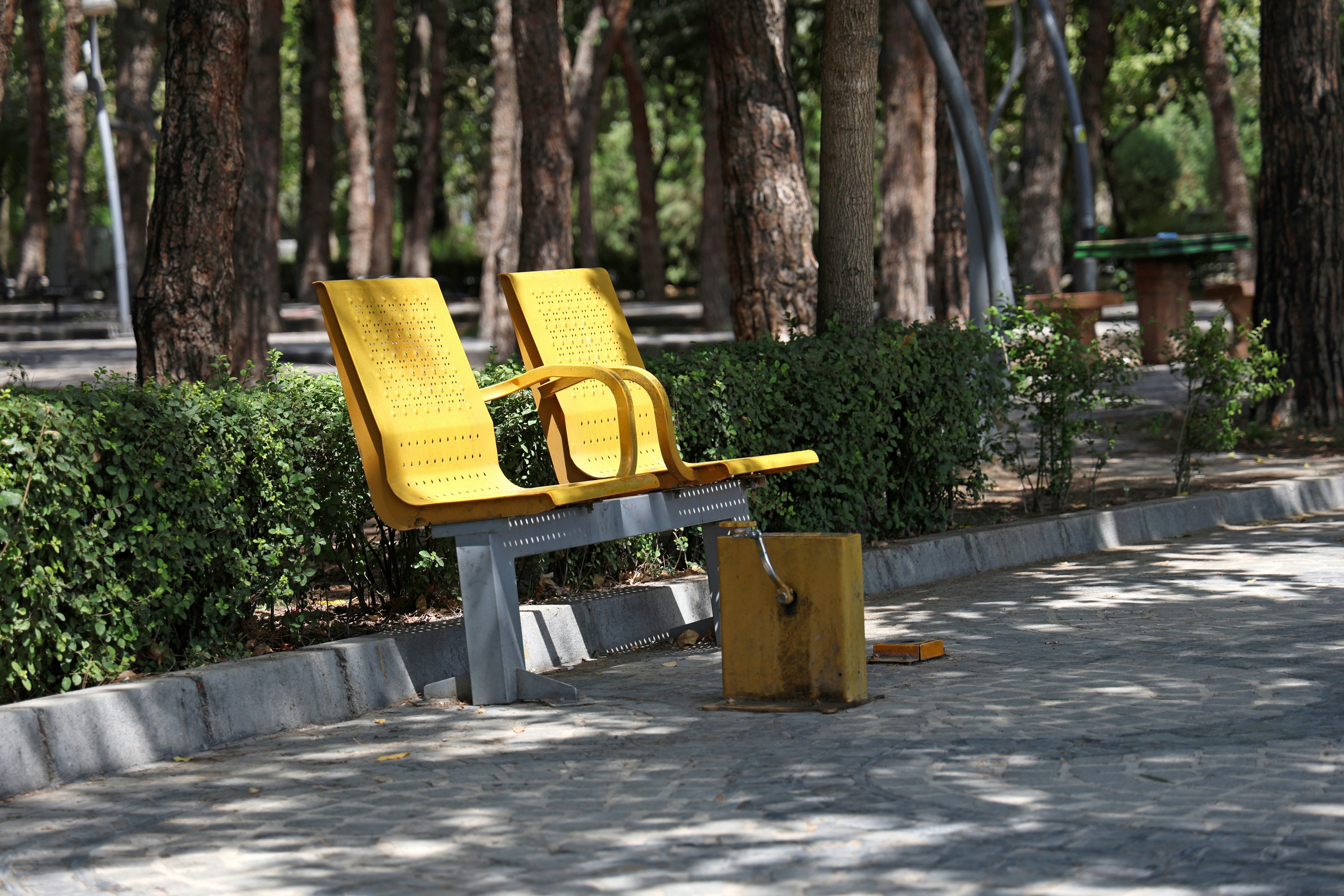 Sunlit Serenity: A Pause in the Park