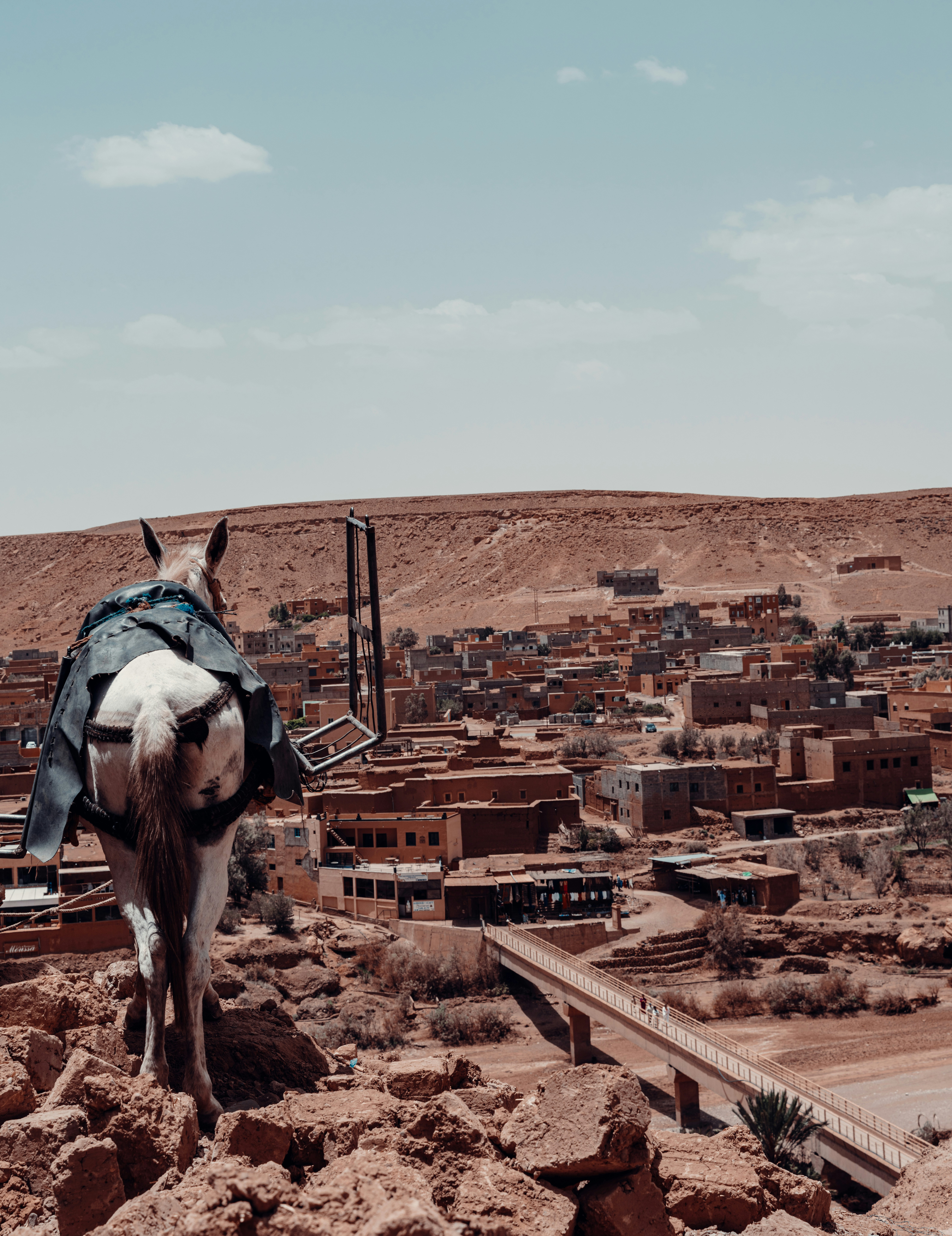 A horse stands atop a rocky outcrop, surveying a quaint village nestled in the valley below. The landscape features arid hills and scattered buildings under a clear blue sky.