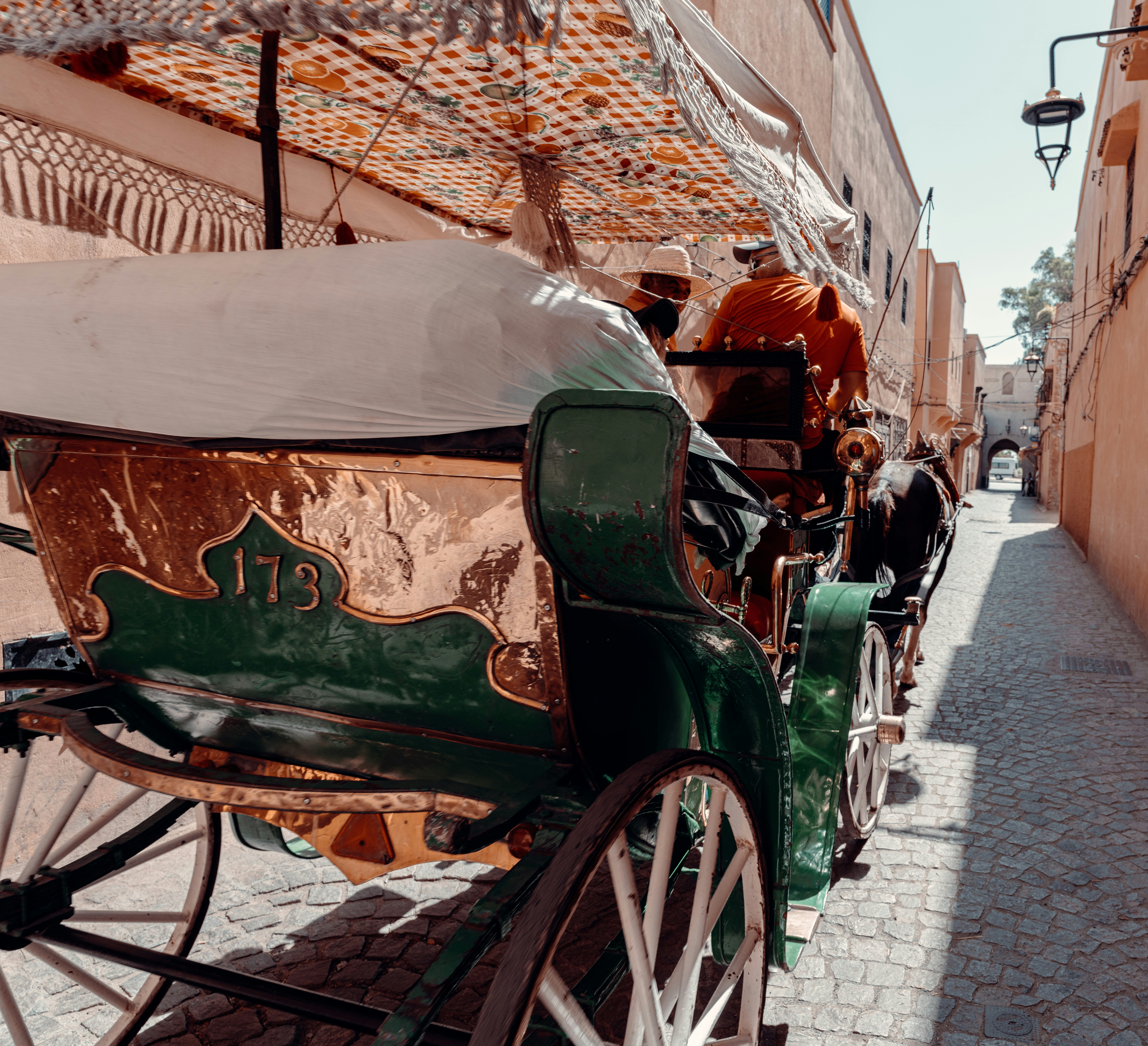 A Glimpse into Timeless Elegance