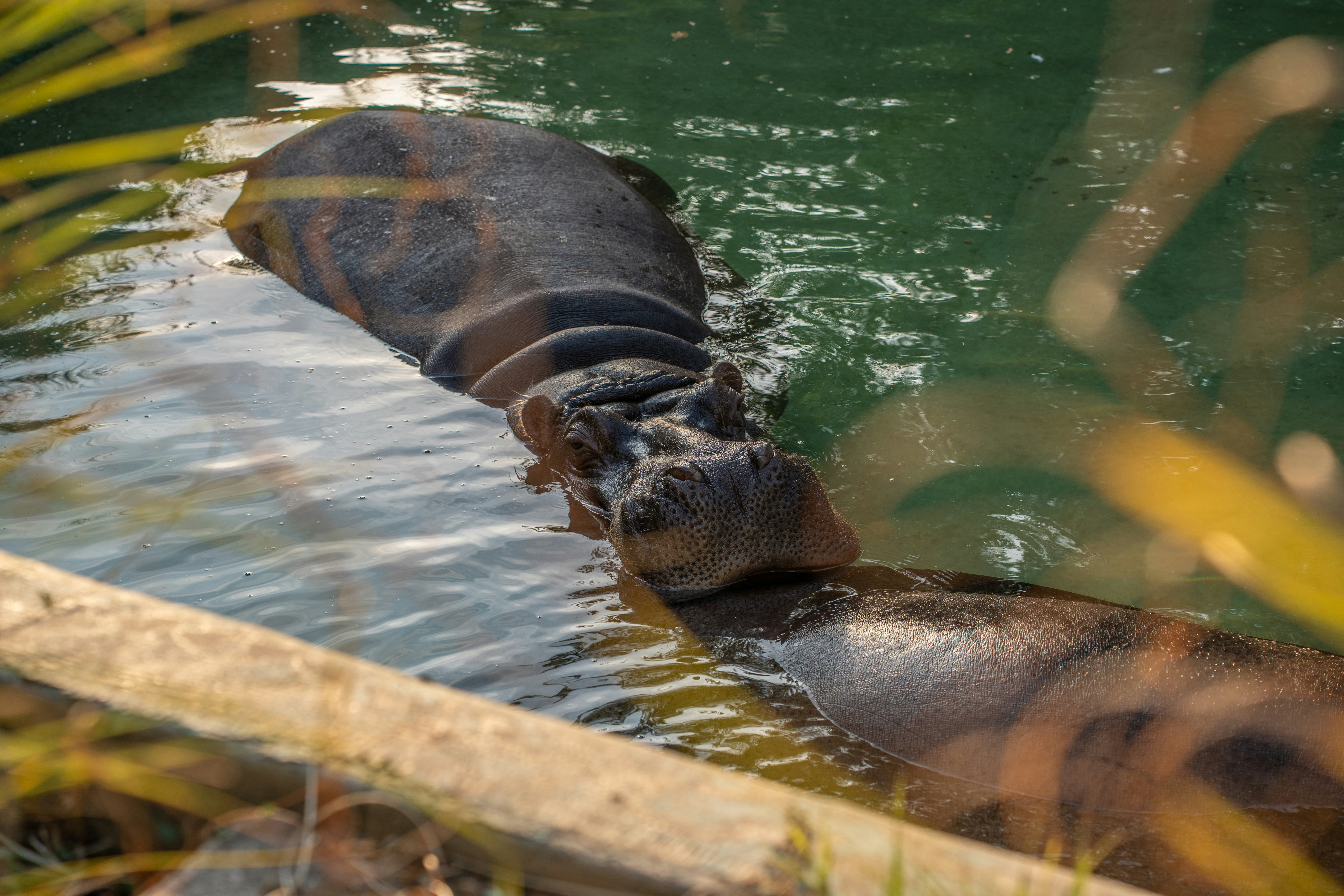 Photo by Stötzer Balázs with Sony Alpha 7 IV