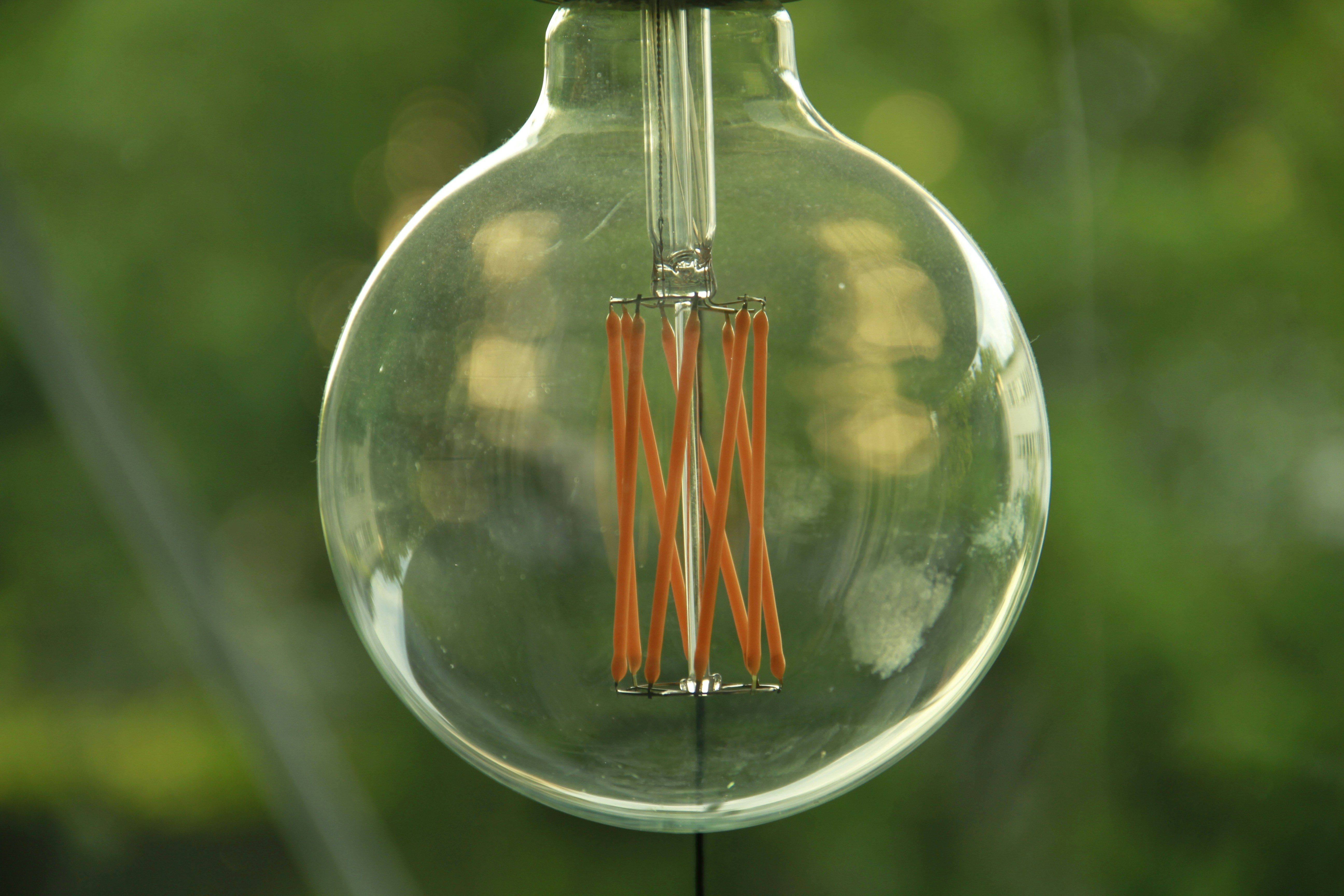 Close-up of an edison light bulb with green background